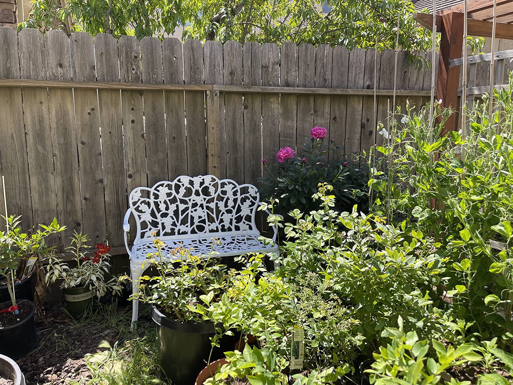 $43/mo - Finance Plow & Hearth Weatherproof Grapevine Outdoor Bench ...