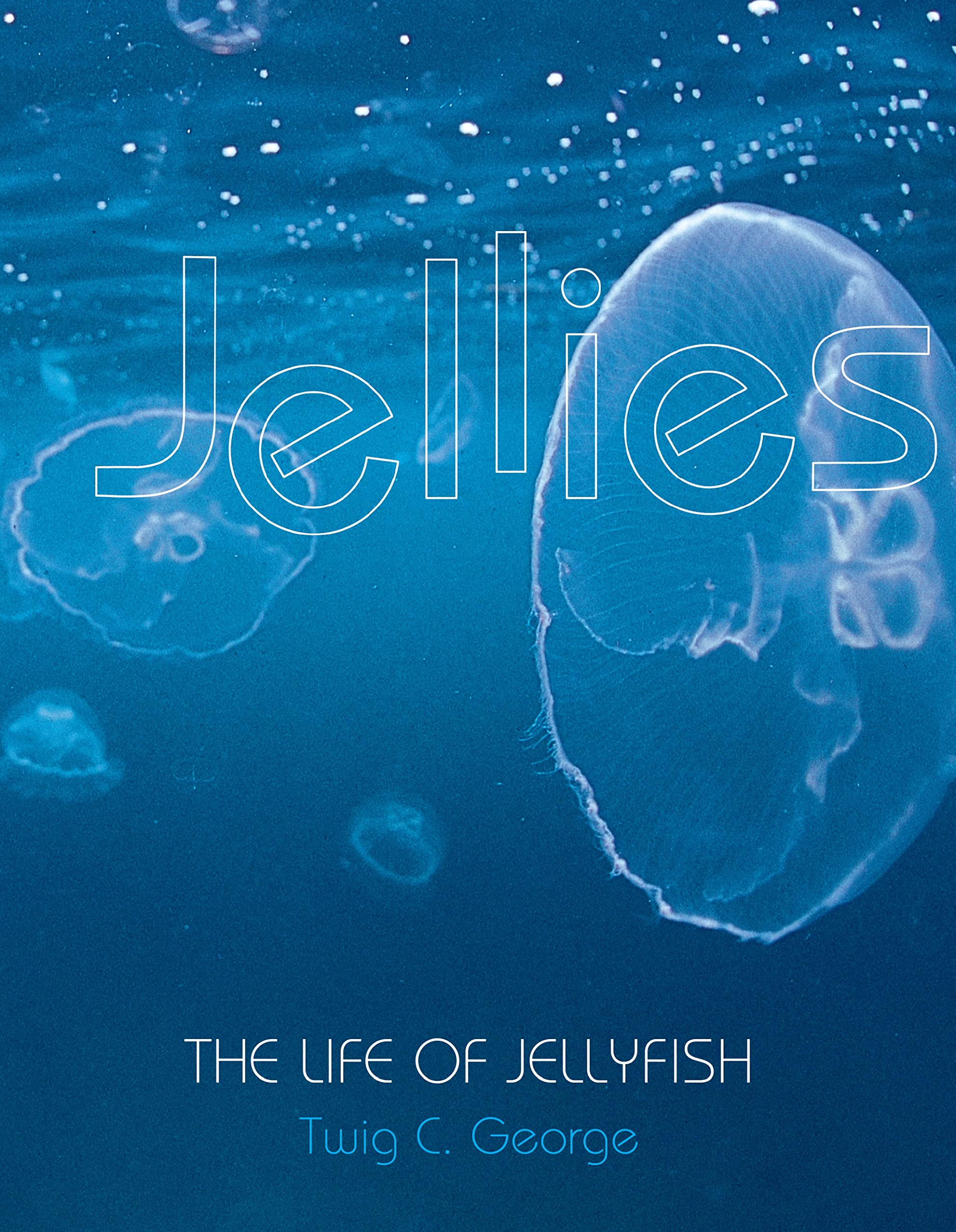 Jellies: The Life of Jellyfish: George, Twig: 9780761314851: Amazon.com ...