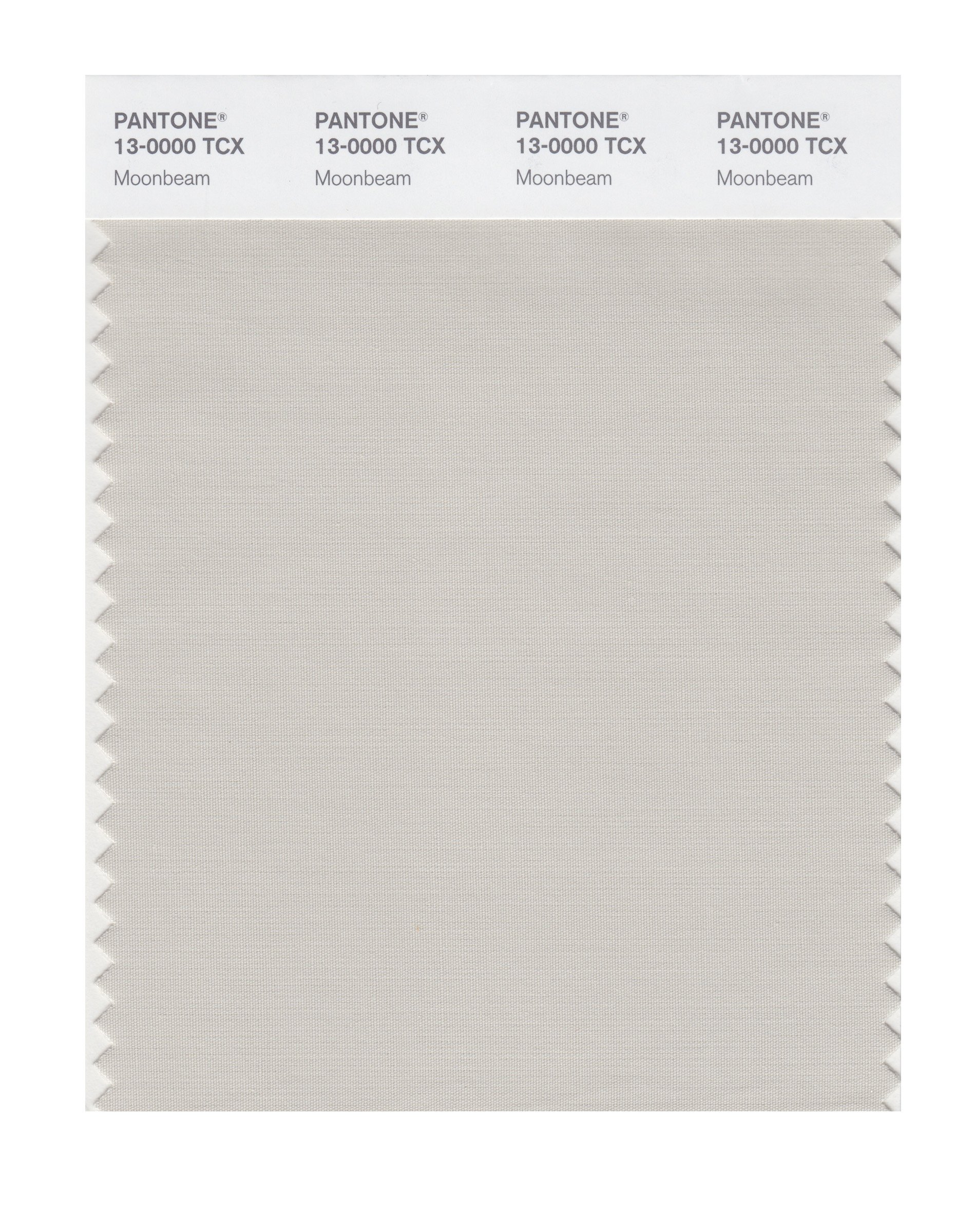 PANTONE Smart 13-0000X Color Swatch Card, Moonbeam - House Paint ...
