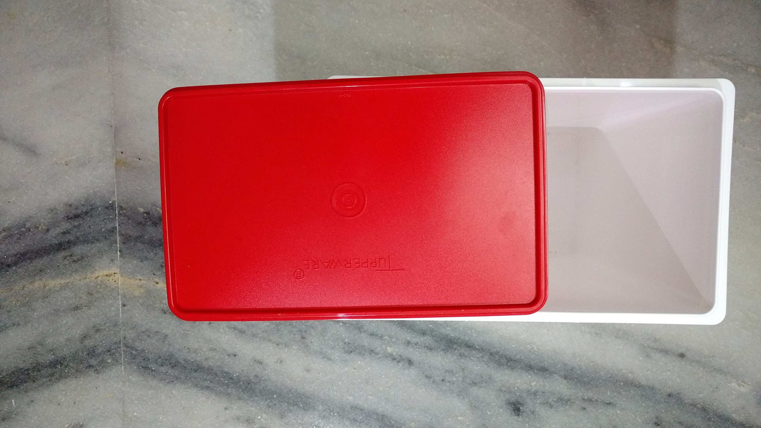 Tupperware TWRK10 Polyethylene and Polypropylene Rice Keeper - 10 kg ...