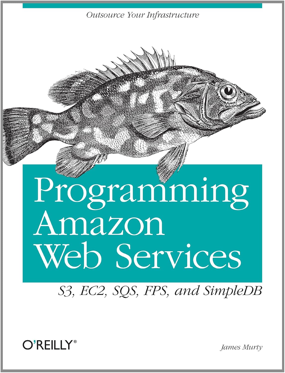 Programming Amazon Web Services: S3, EC2, SQS, FPS, and SimpleDB 1 ...