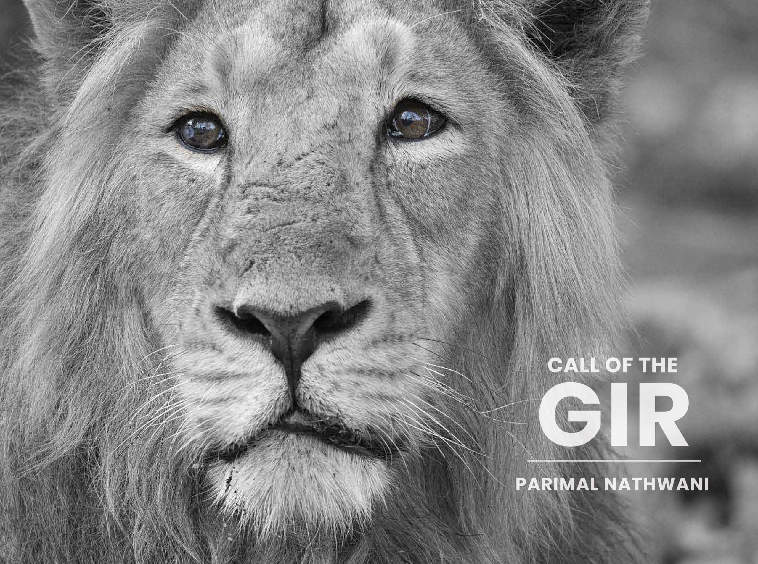 Buy Call of the Gir Book Online at Low Prices in India | Call of the ...