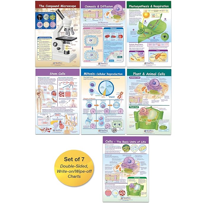 Buy NewPath Learning Cells Bulletin Board Charts, Set/7 - Laminated ...