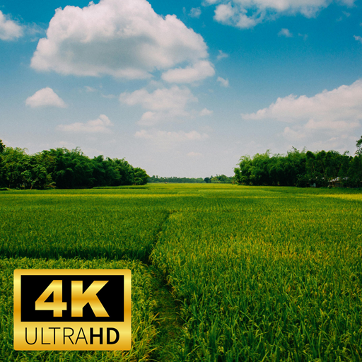 Nature Screensaver | Landscape 4K Wallpapers Slideshow, Date & Time ...