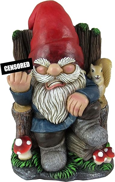 Amazon.com: World of Wonders - Gnaughty Gnomes Series - Wrong Side of ...