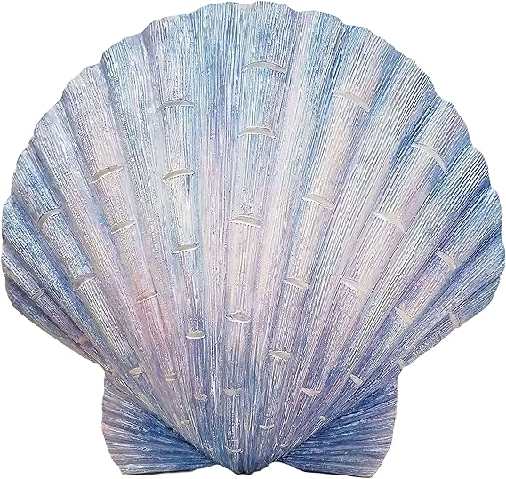 Amazon.com: World of Wonders - Ocean Harmony Series - Captiva - Elegant ...