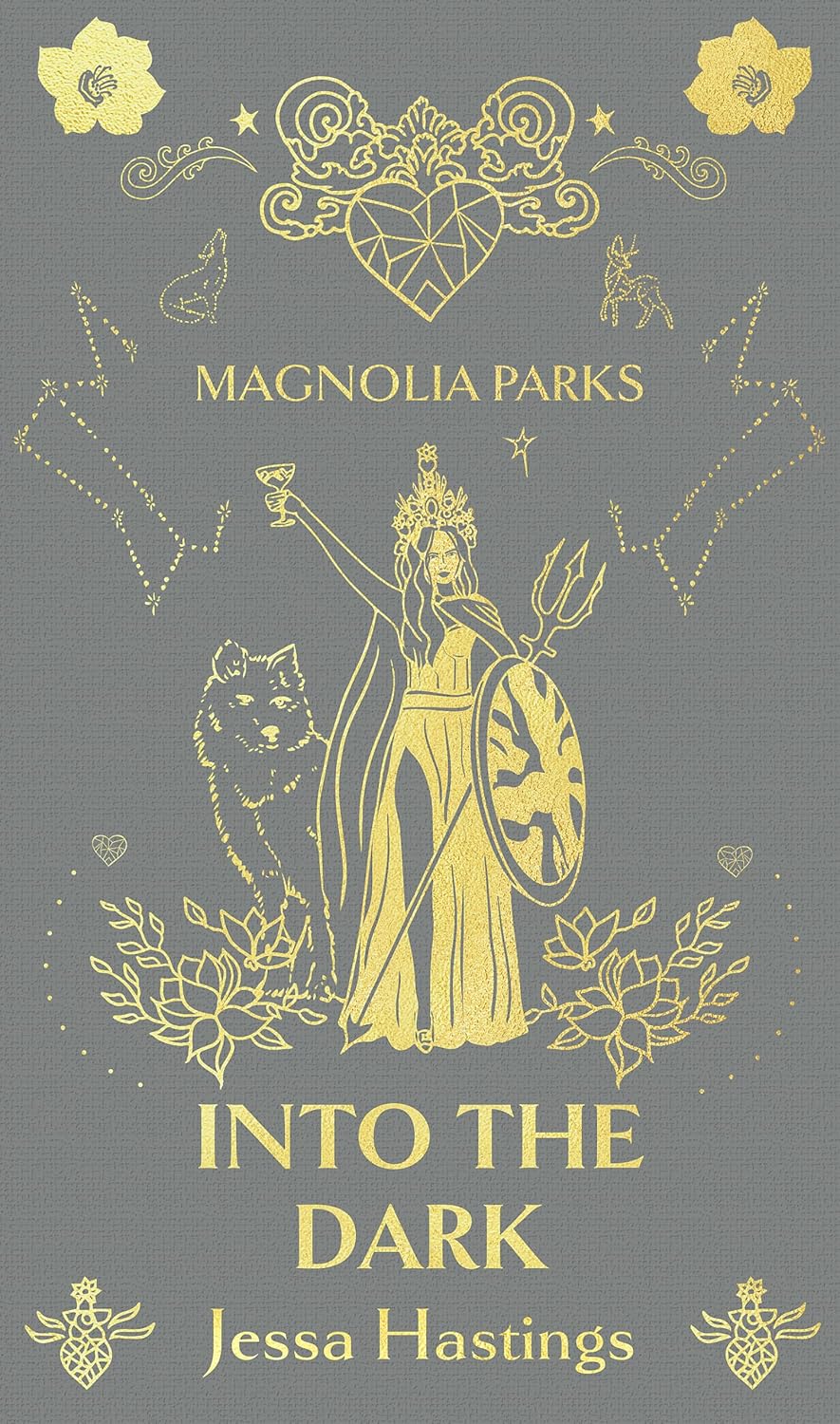 Magnolia Parks: Into the Dark: Book 5 The BRAND NEW book in the ...