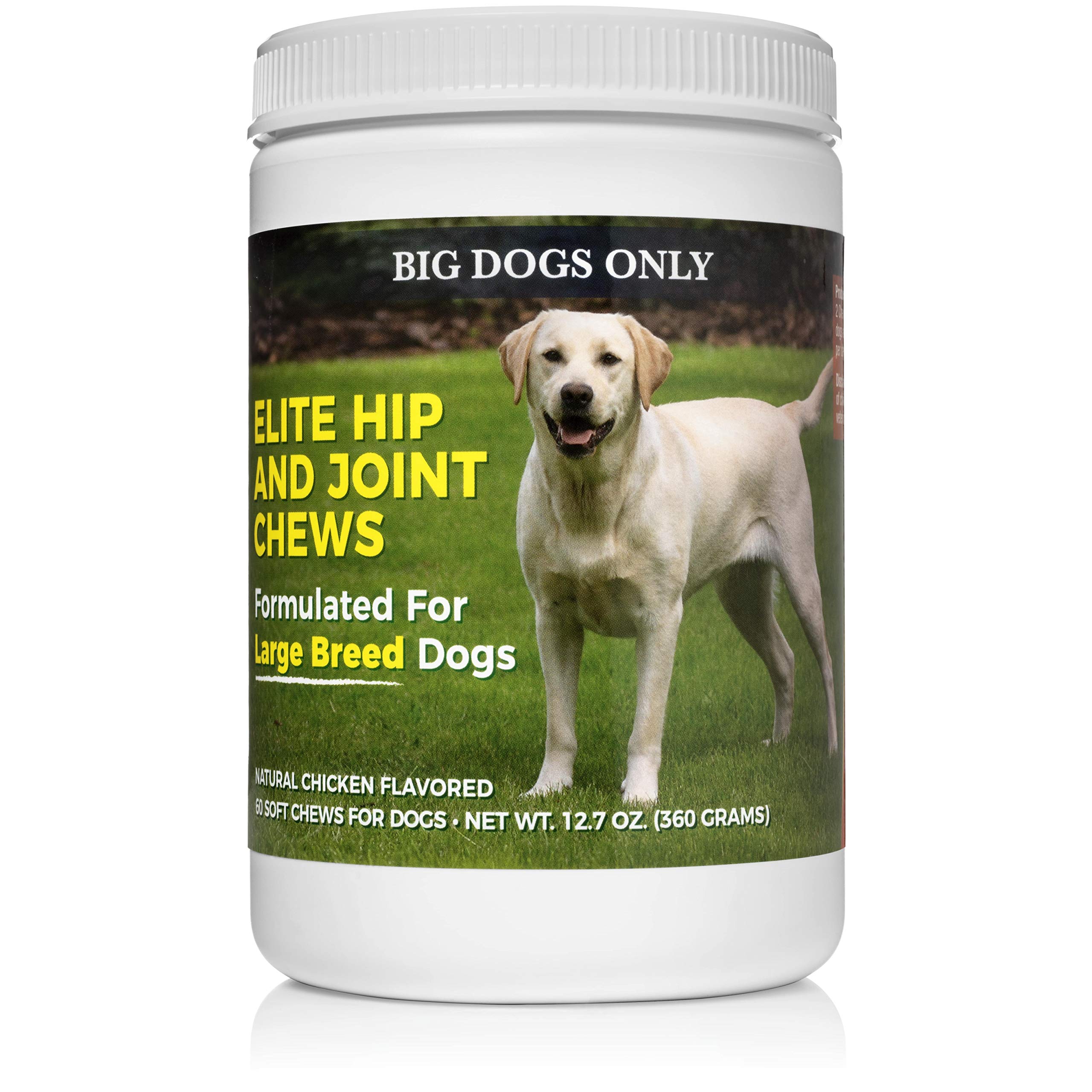 Do Large Breed Dogs Need Glucosamine