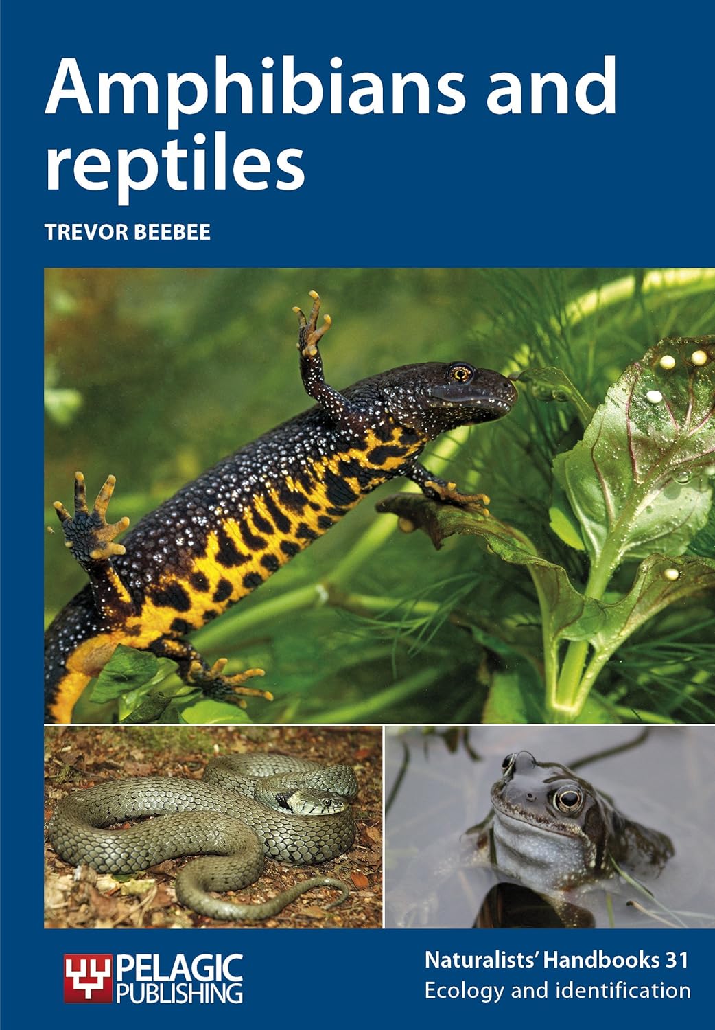 Amphibians and reptiles (Naturalists' Handbooks Book 31) 1, Beebee ...