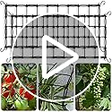 Amazon.com : Grow Tent Trellis Netting 2x4', Elastic Netting with Steel ...