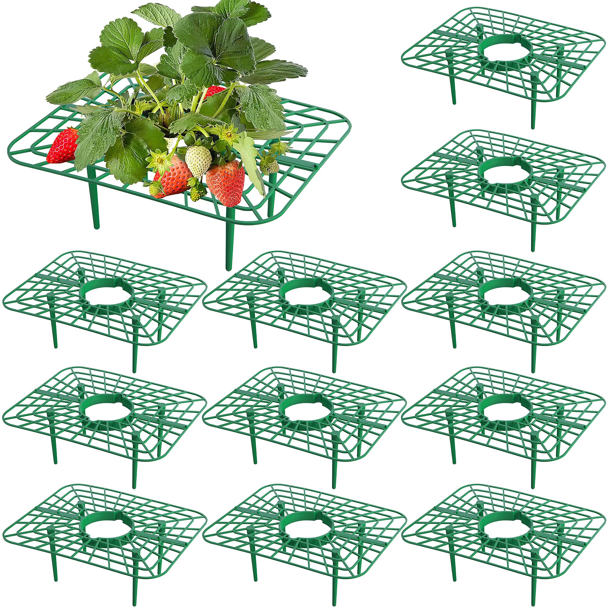 Amazon.com : Iceyyyy 12 Packs Square Strawberry Supports-Strawberry ...