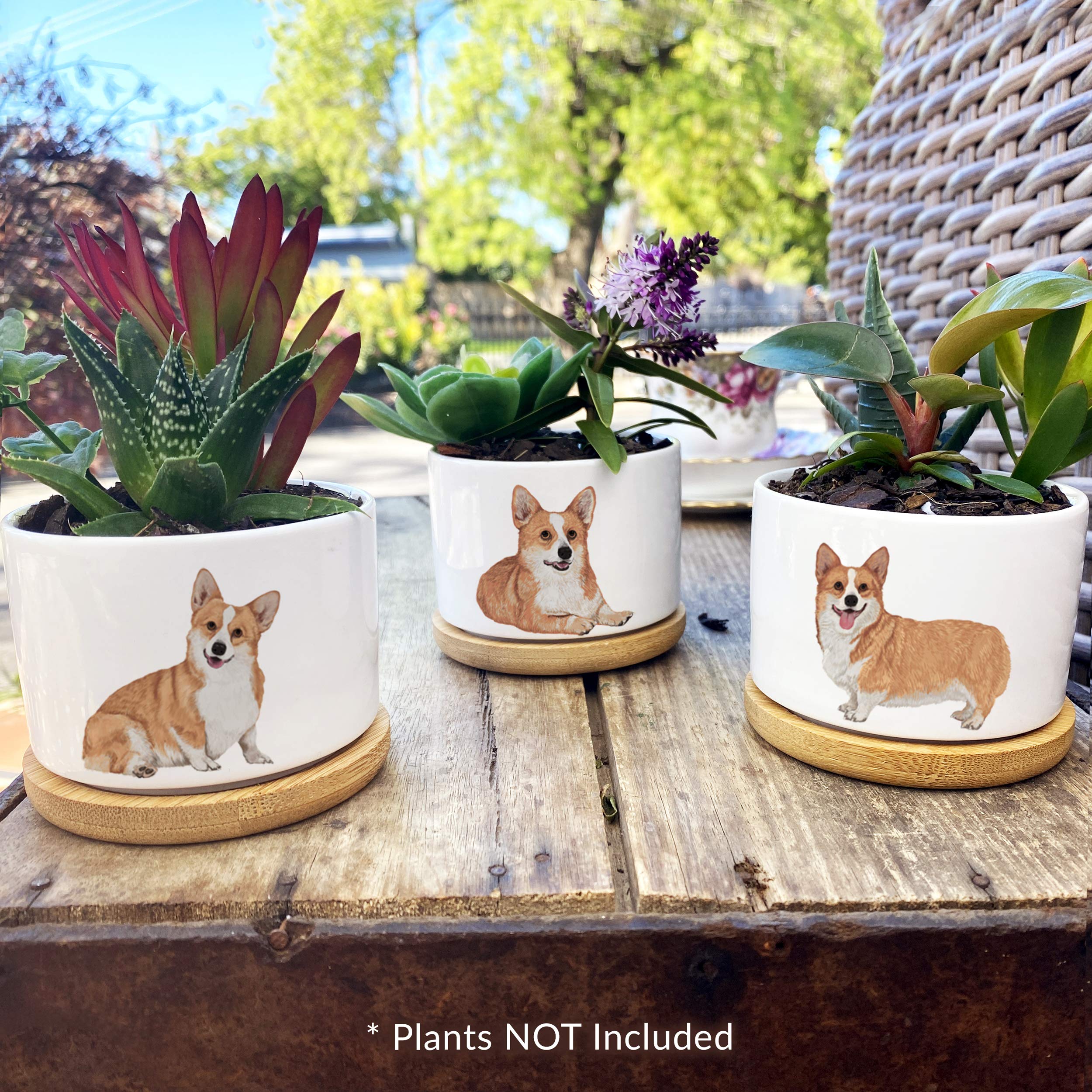 GIFTAGIRL Corgi Gifts for Corgi Lovers - Perfect Corgi Decor Birthday ...