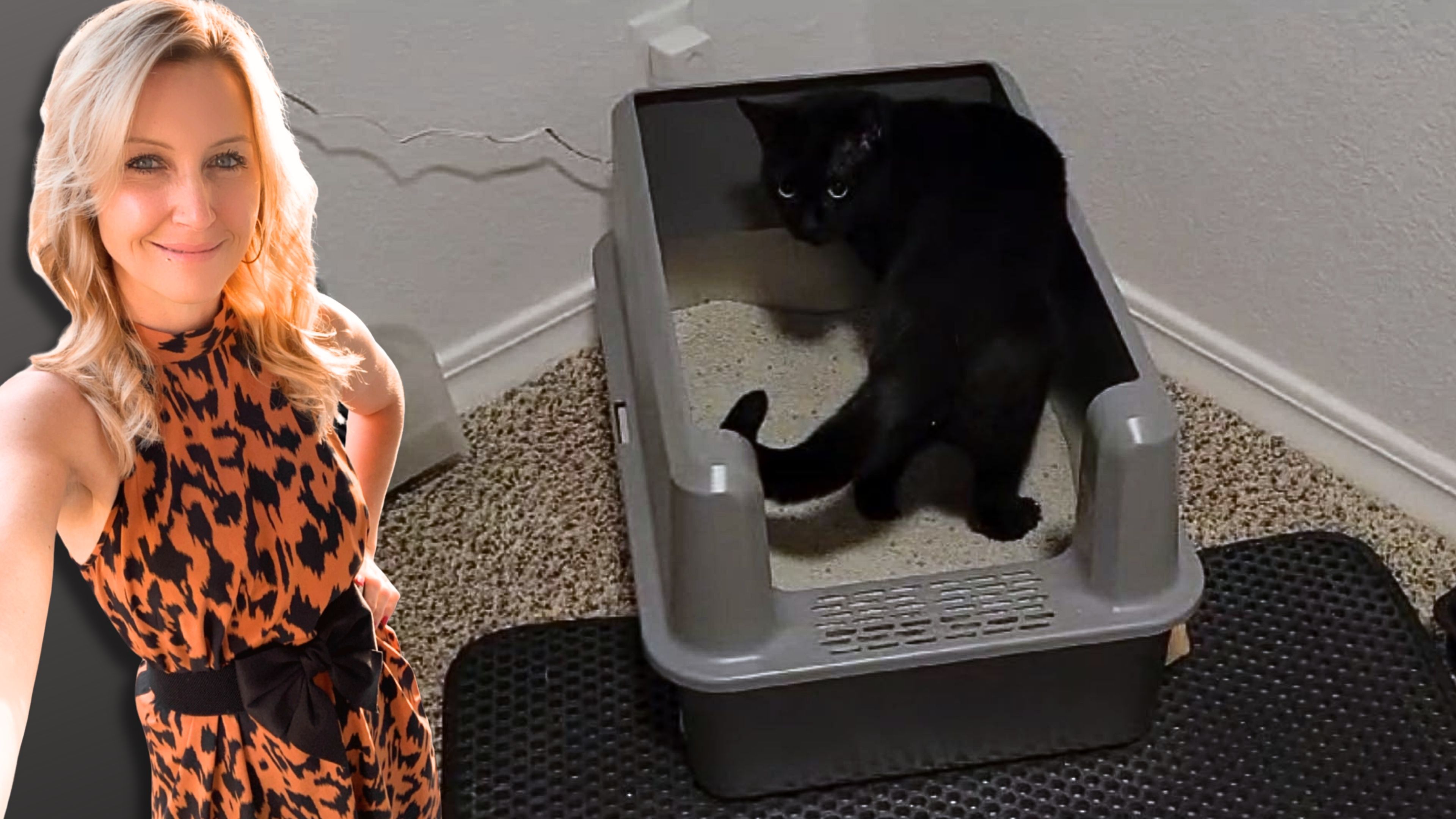 Watch Quick Review Demo | Stainless Steel Cat Litter Box on Amazon Live