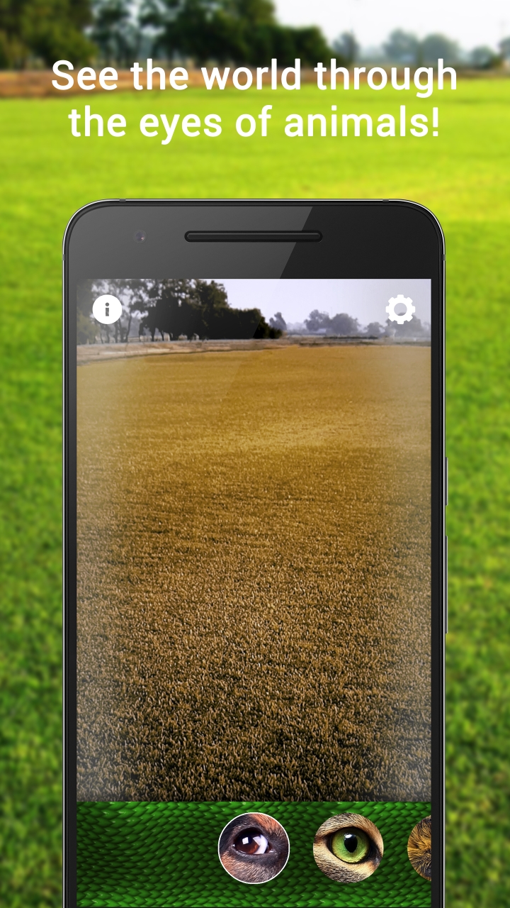 Animal Vision:Amazon.com:Appstore for Android