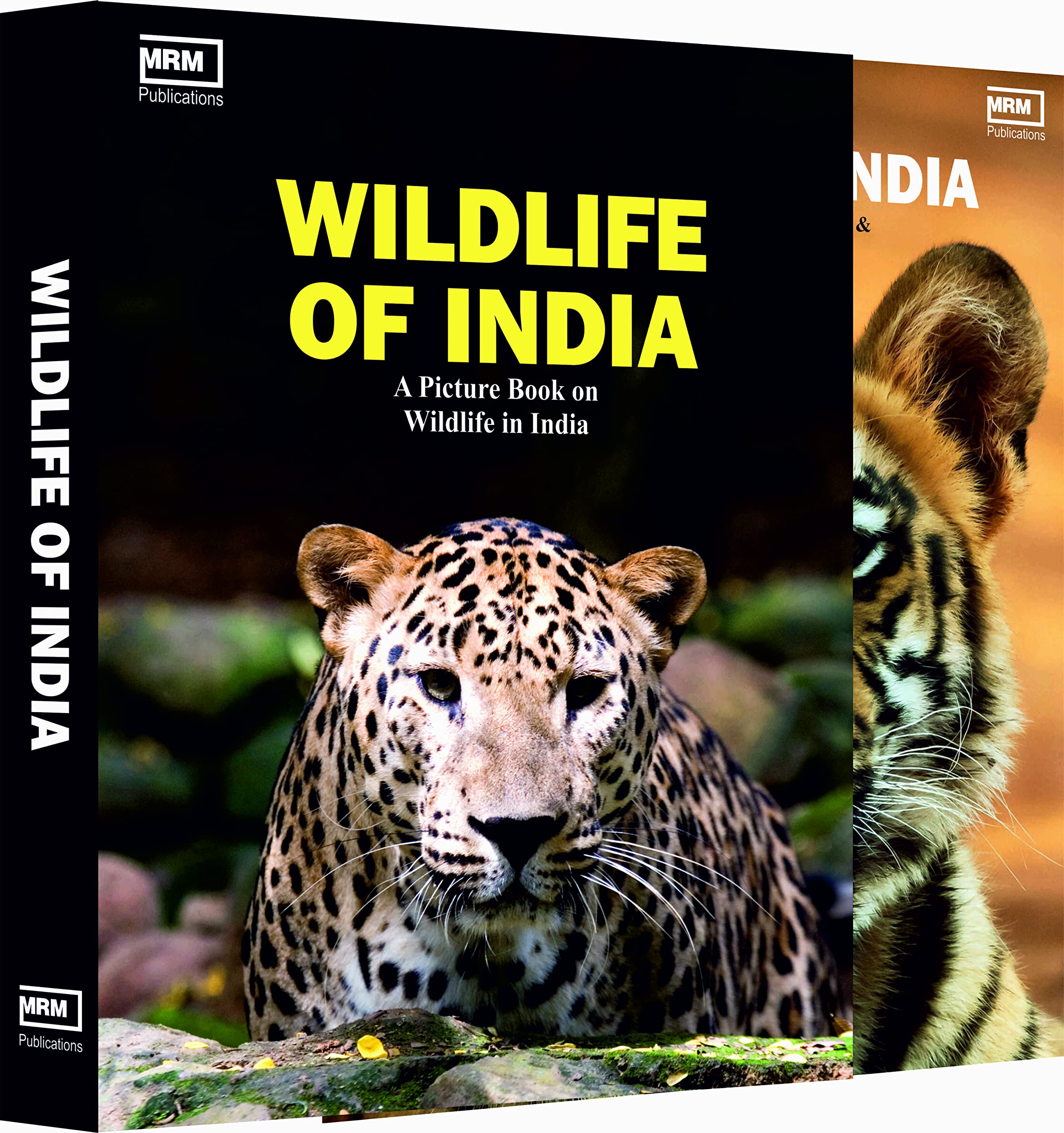 Wildlife of India - A Picture Book on Wildlife in India : MRM ...