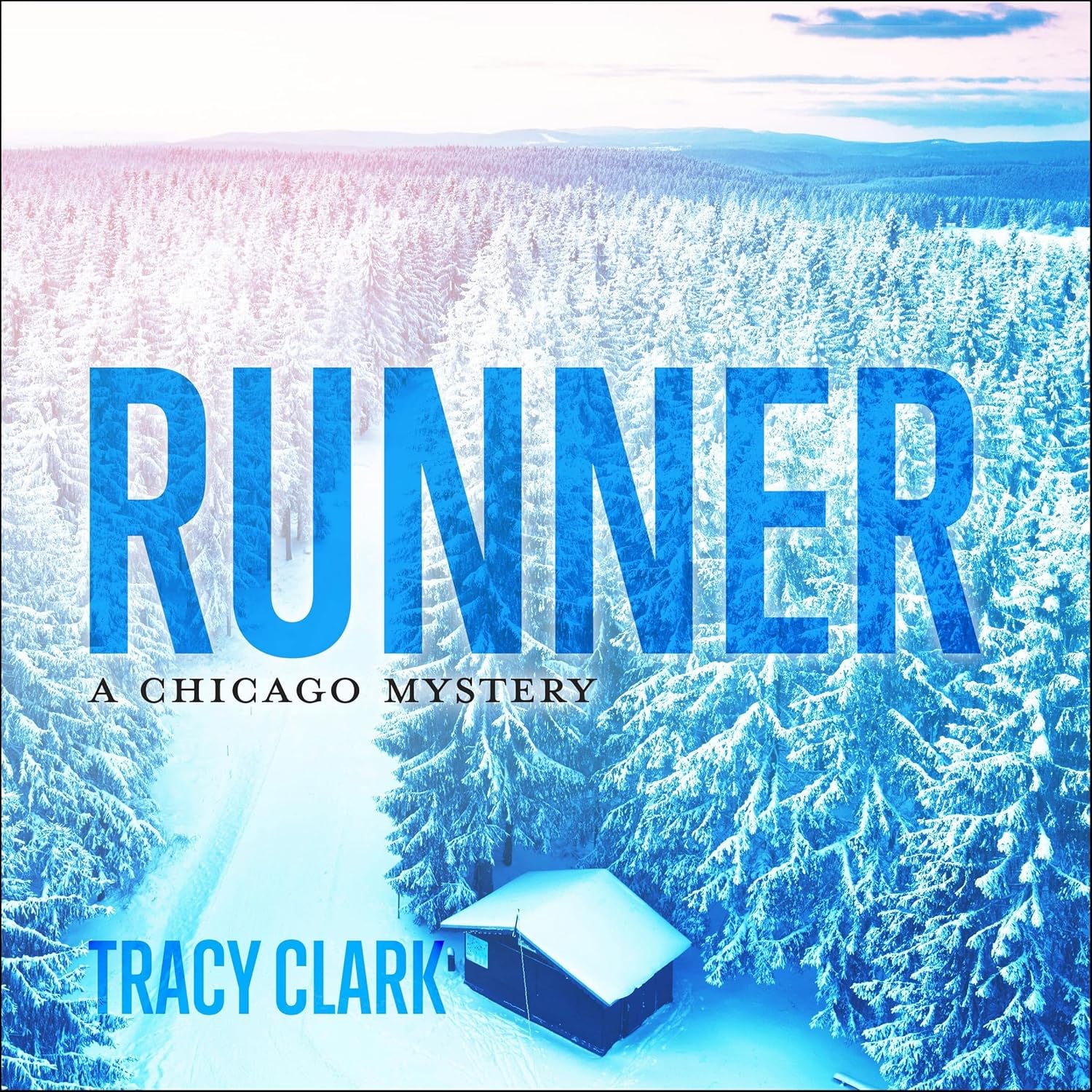 Amazon.com: Runner (The Chicago Mystery Series): 9781665173346: Tracy ...