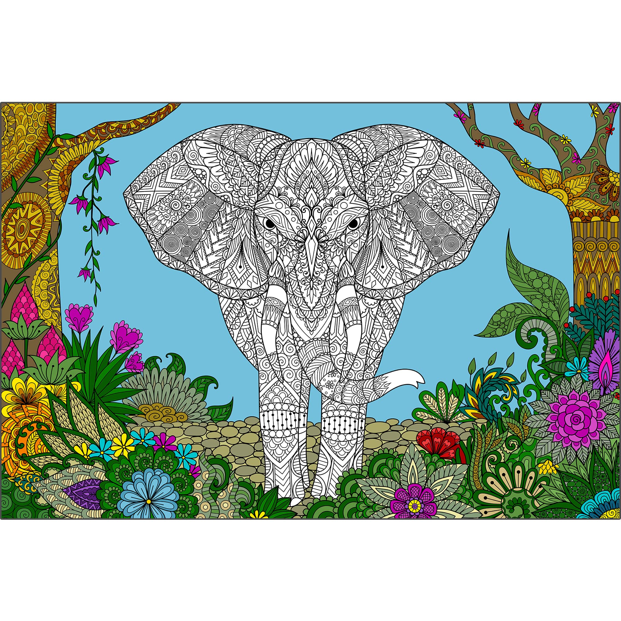 Amazon.com: Dekali Designs Elephant Coloring Poster (35 x 52 Inches ...