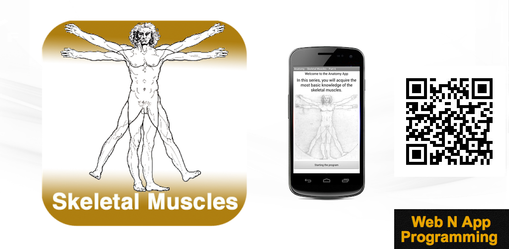 Anatomy - Skeletal Muscles - Part 6:Amazon.com:Appstore for Android