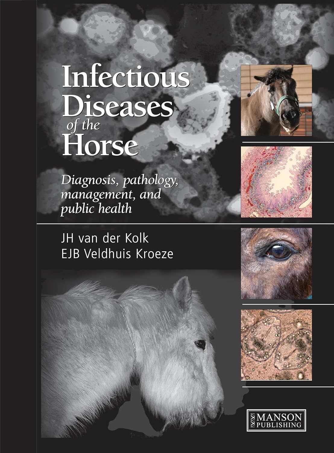 Amazon.com: Infectious Diseases of the Horse: Diagnosis, pathology ...