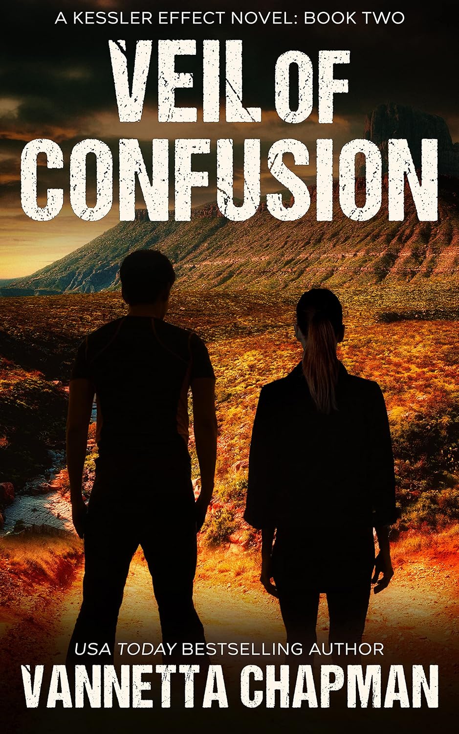 Amazon.com: Veil of Confusion: An Adult Dystopian Novel (Kessler Effect ...