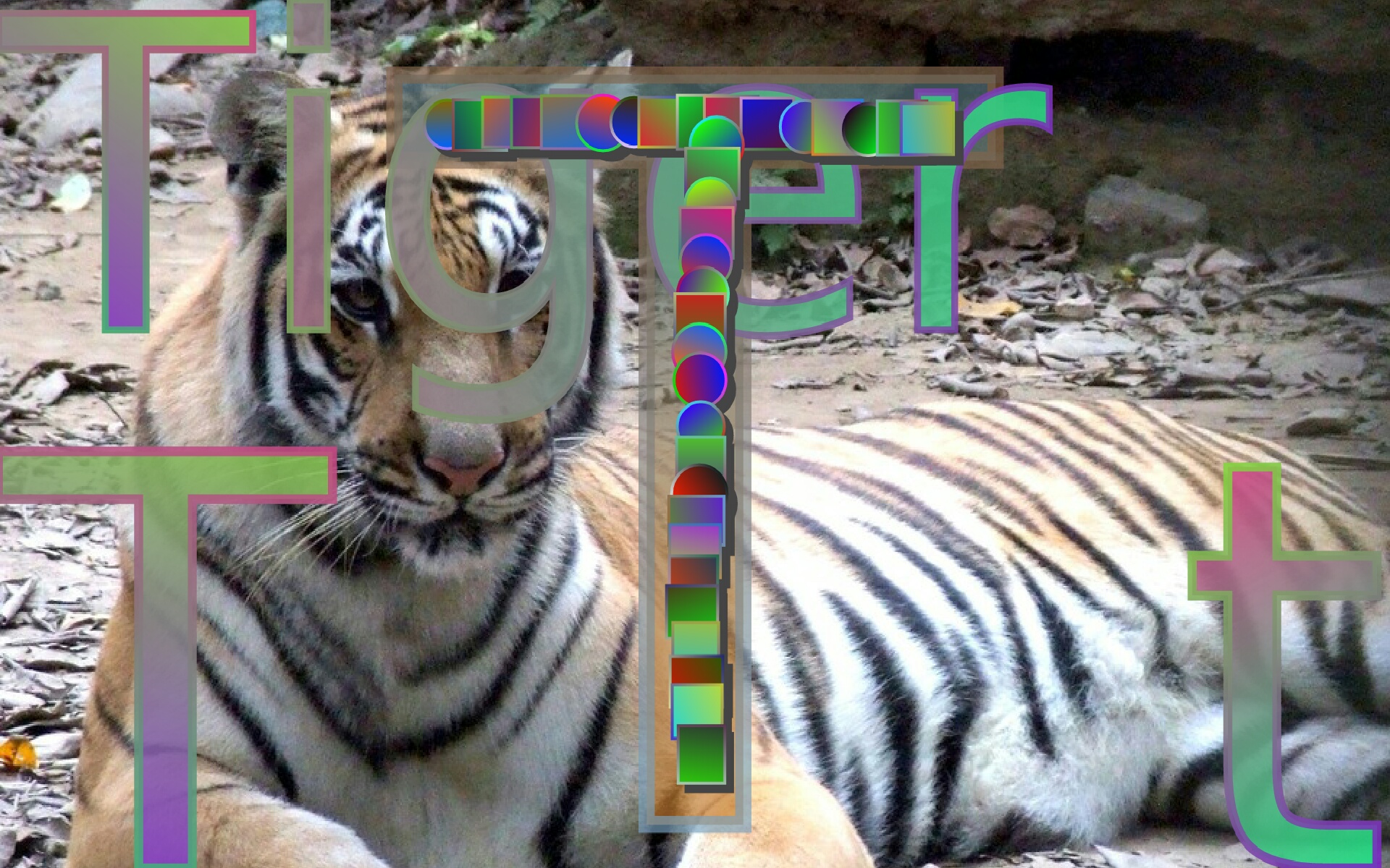 Easy Animal Alphabet - App on Amazon Appstore