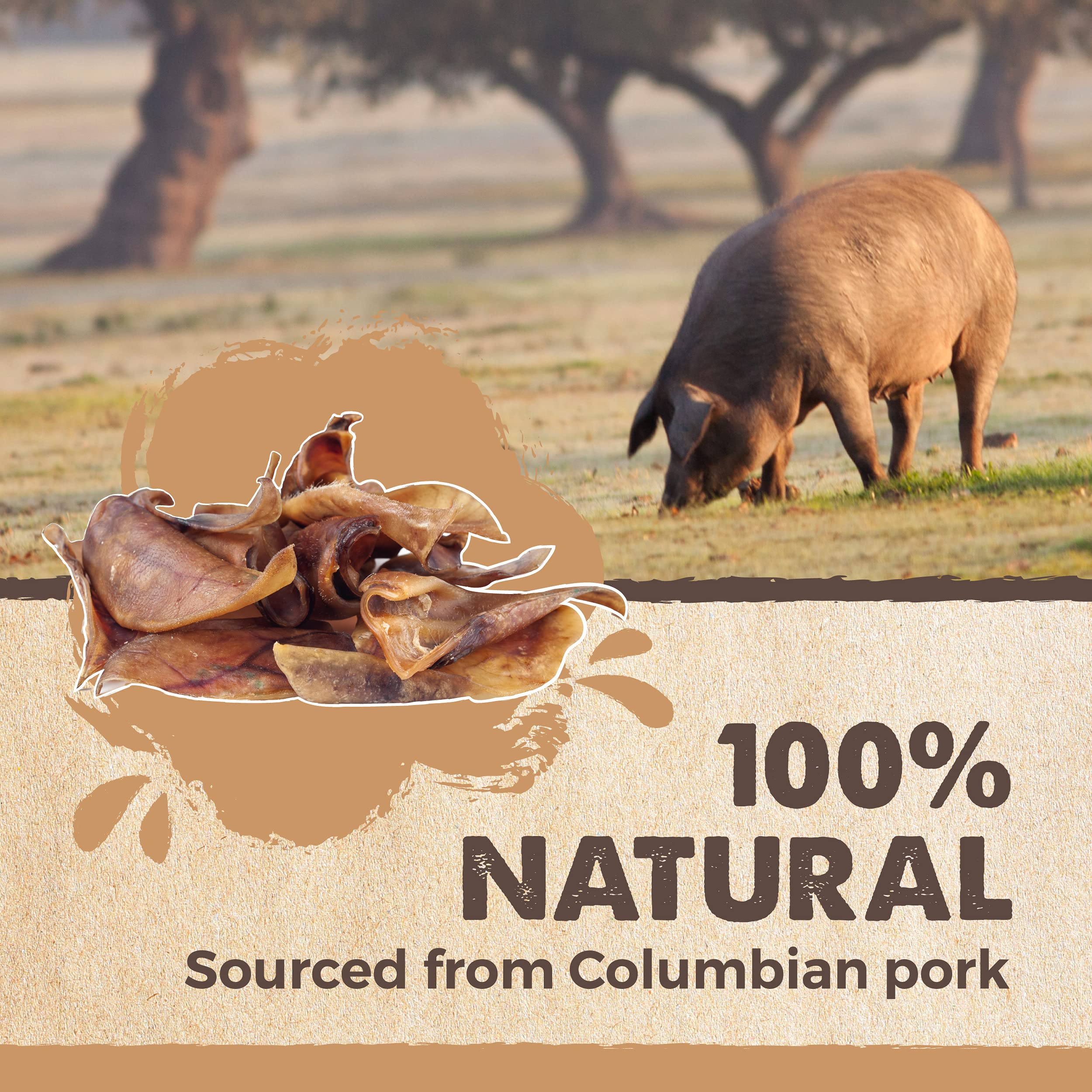 Are Pig Ears Better For A Otterhound Than Rawhide Ears