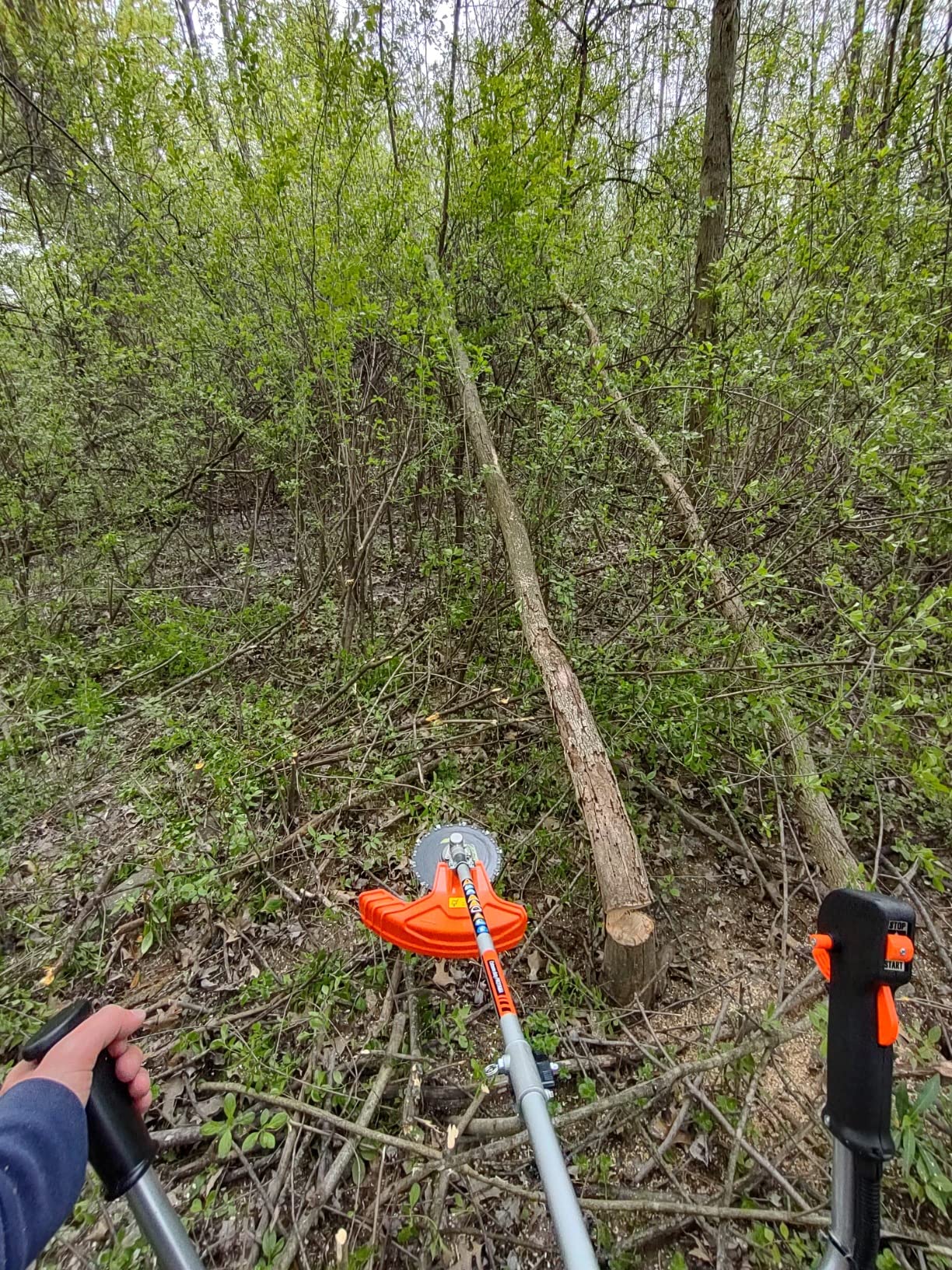 $47/mo - Finance PROYAMA 40cc Gas Powered Brush Cutter, 4-Cycle Weed ...