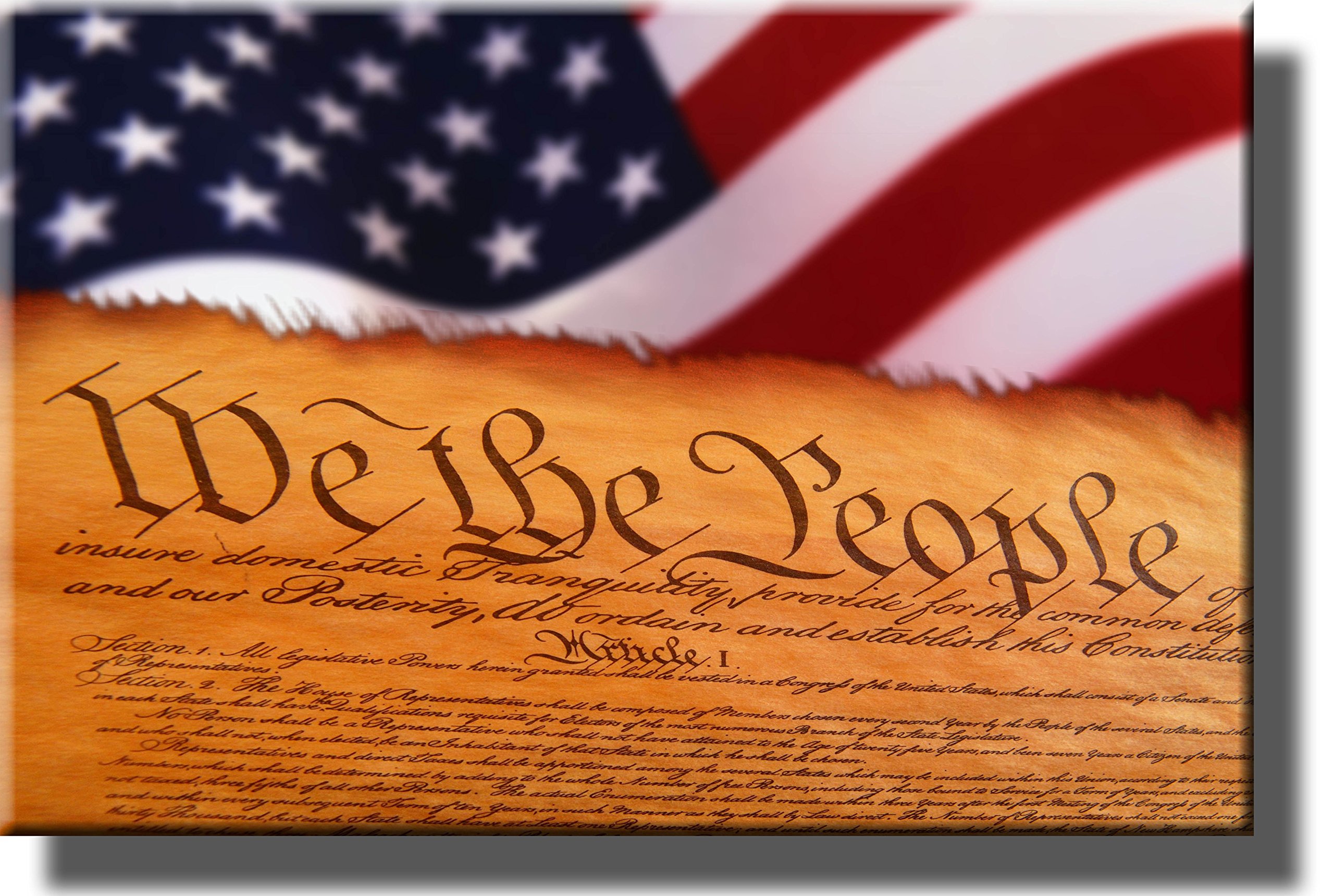 Amazon.com: United States Constitution and Flag Picture on Stretched ...