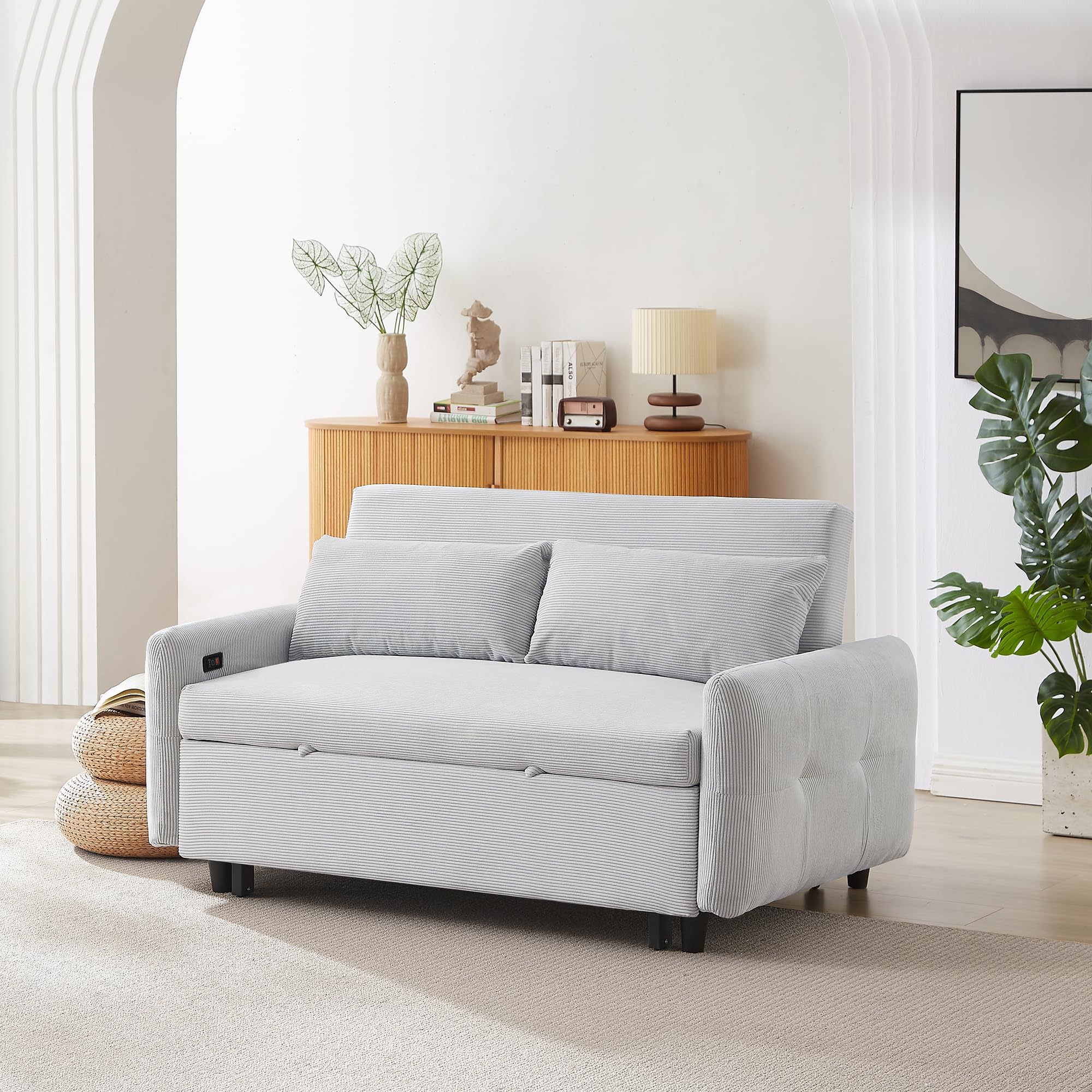 Amazon.com: Merax Pull-Out Sofa Bed with Adjustable Backrest and Two ...