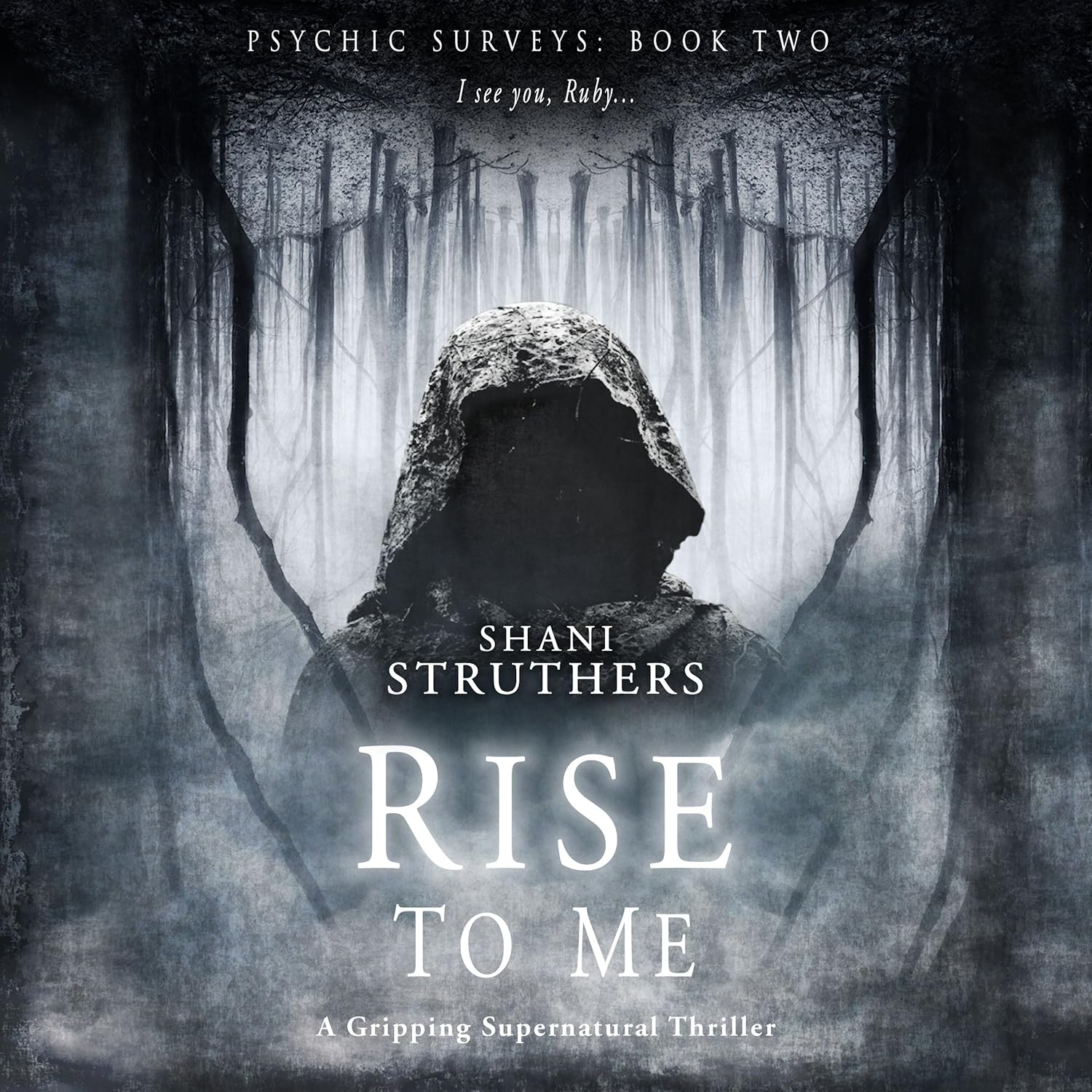 Amazon.com: Rise to Me: Psychic Surveys, Book 2 (Audible Audio Edition ...