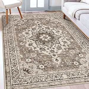 Amazon.com: TOPRUUG Washable Oriental Area Rug - 5x8 Rugs for Living ...