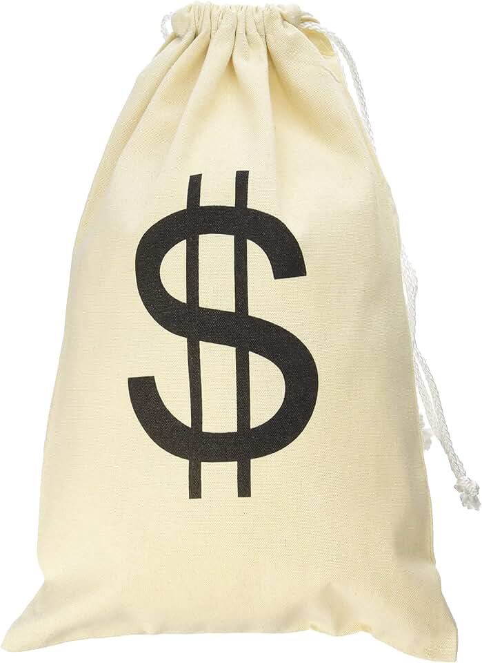 Amazon.com : dollar sign money bag