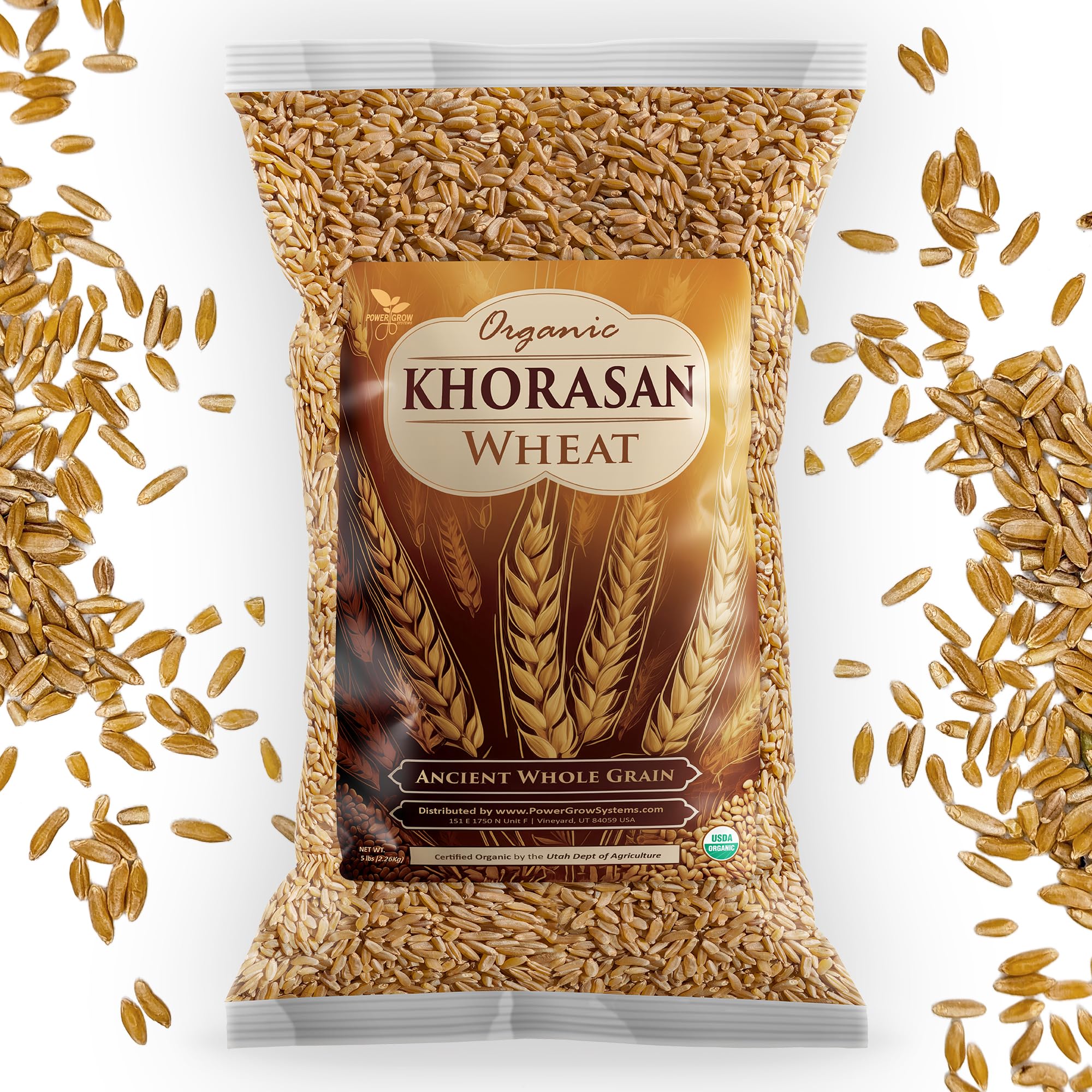 Amazon.com : Khorasan Wheat - 100% Certified Organic Khorasan Whole ...