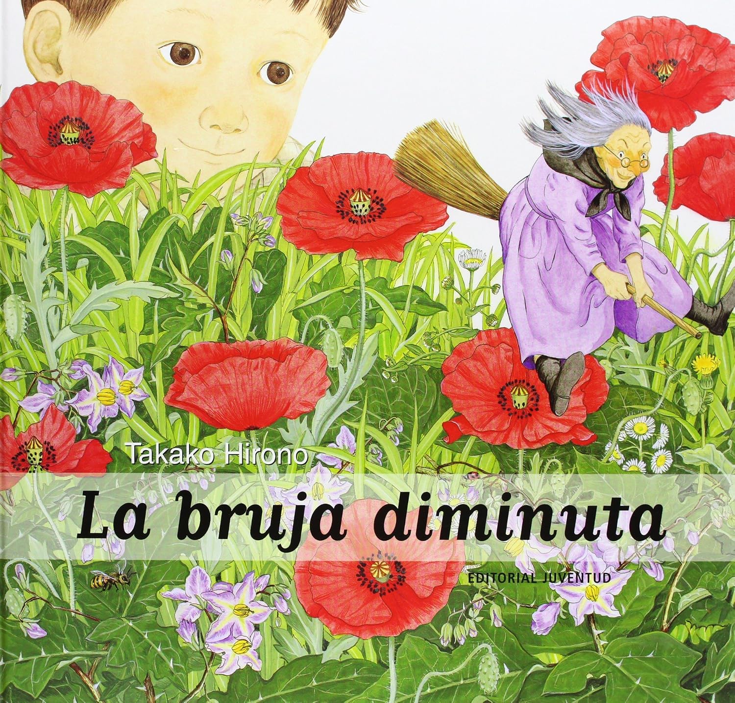 La bruja diminuta (Spanish Edition): Hirono: 9788426132284: Amazon.com ...