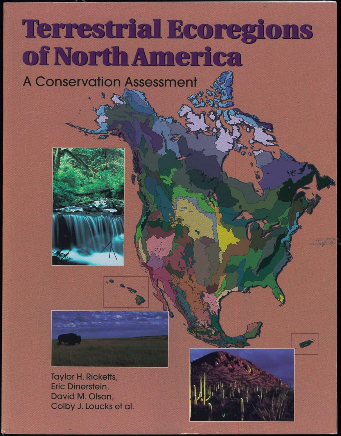 Ecoregions Of North America at Nu Brockett blog