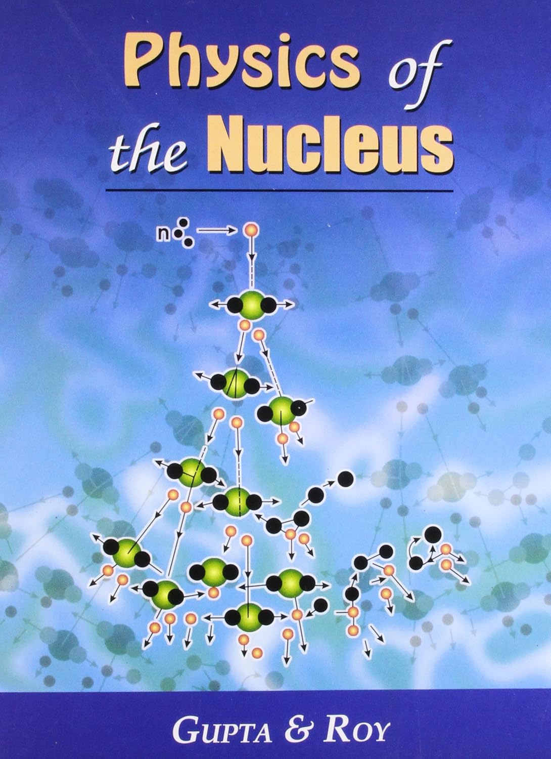 Buy Physics of the Nucleus Book Online at Low Prices in India | Physics ...