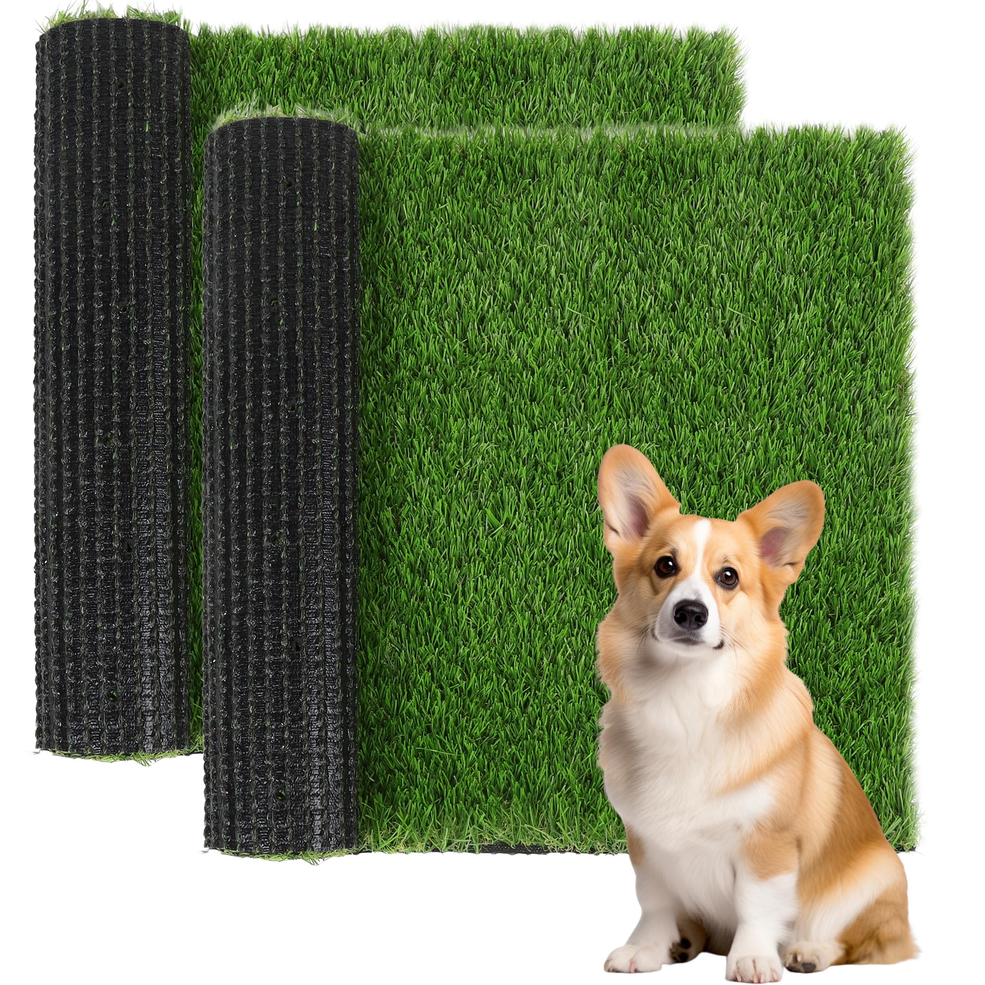 Amazon.com: Artificial Grass for Dogs Potty, 19.49" x 15.75" Dog Pee ...