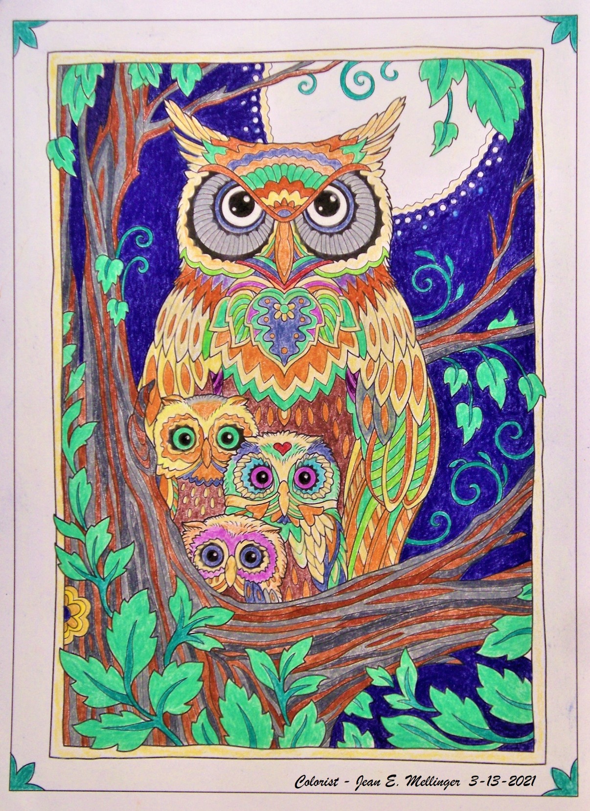 Amazon.com: Creative Haven Wondrous Wildlife Coloring Book; Journey ...