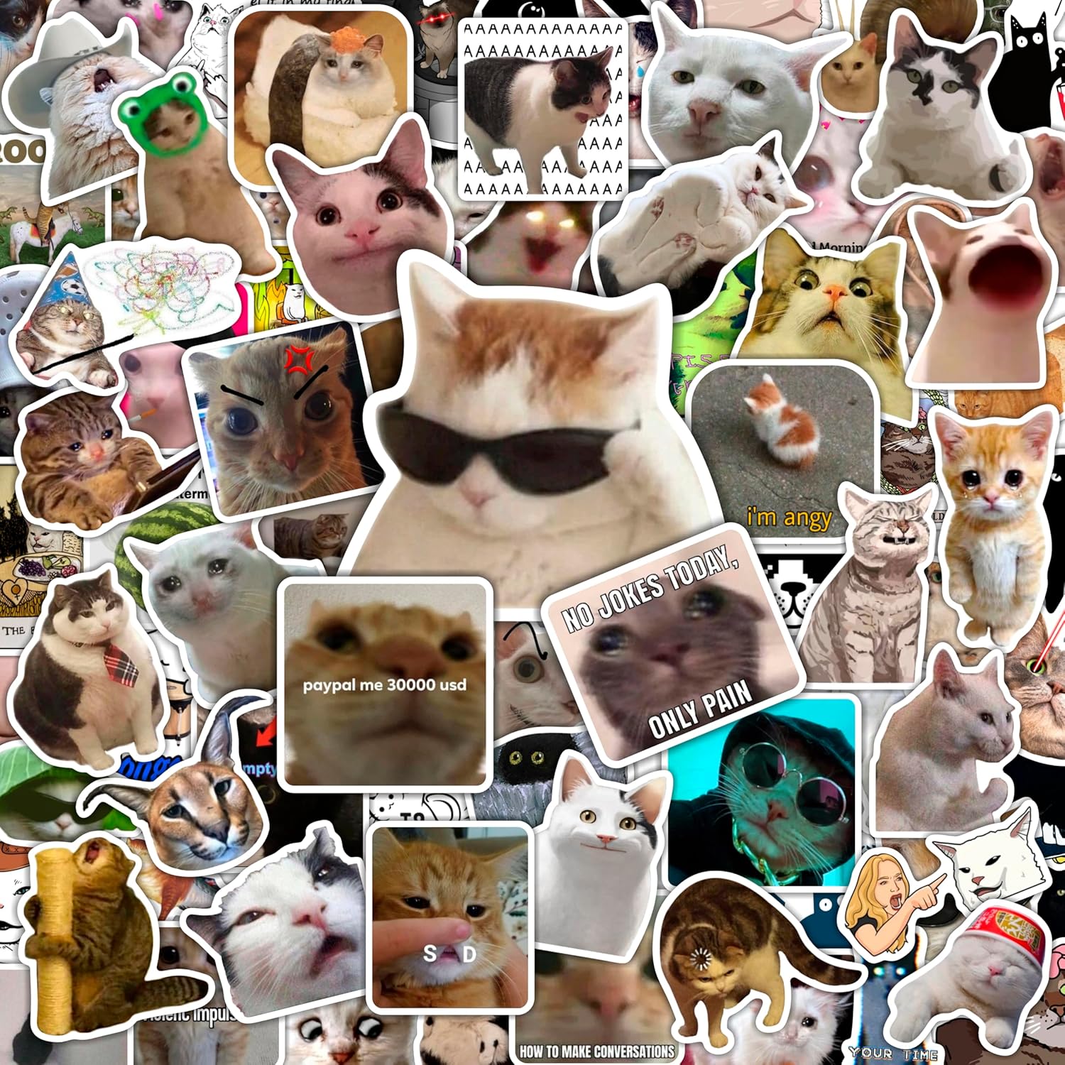 Amazon.com: BulbaCraft 100Pcs Cat Meme Stickers - Funny Cat Stickers ...