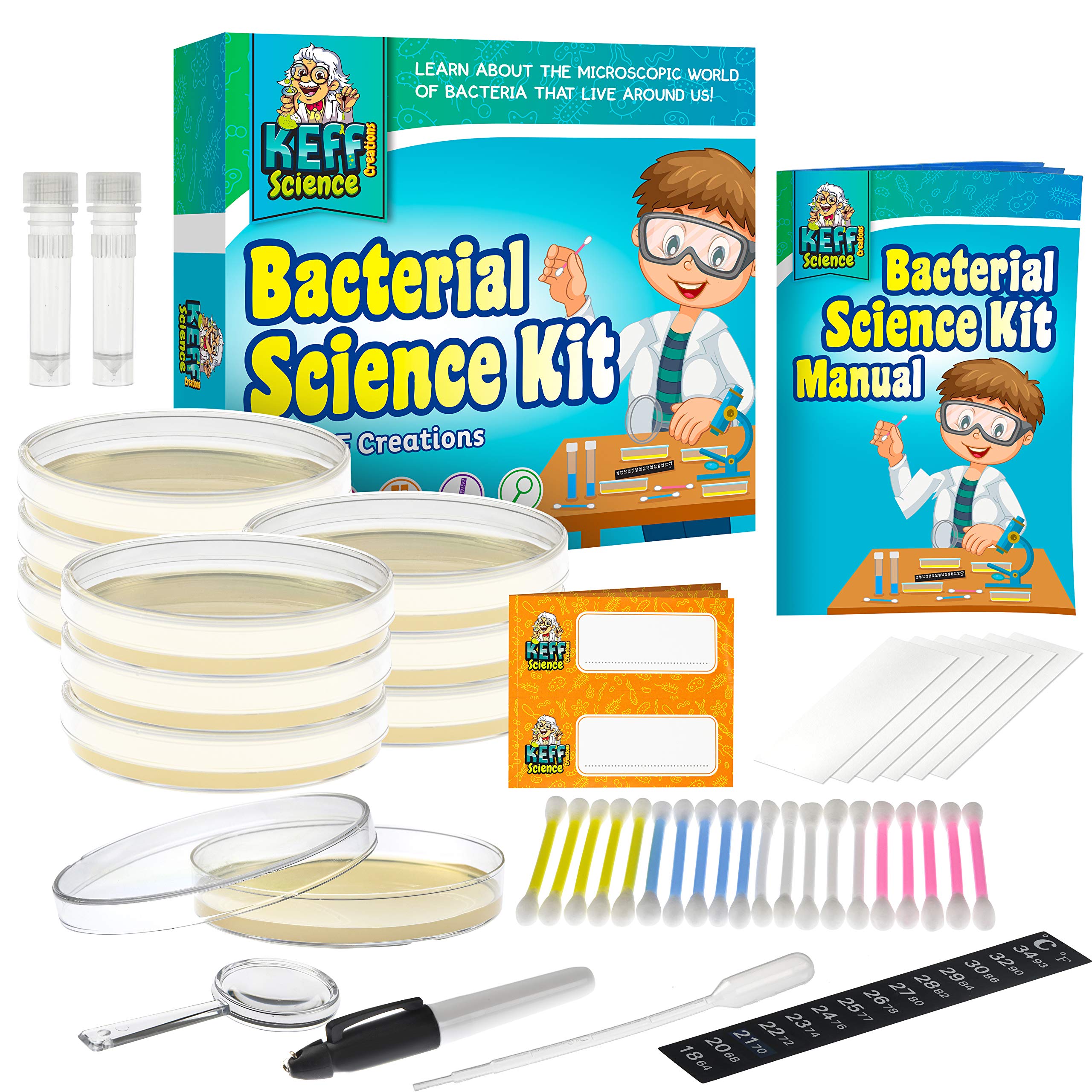 Buy KEFF Creations Bacteria Science Kit| Great Science Fair Project Kit ...