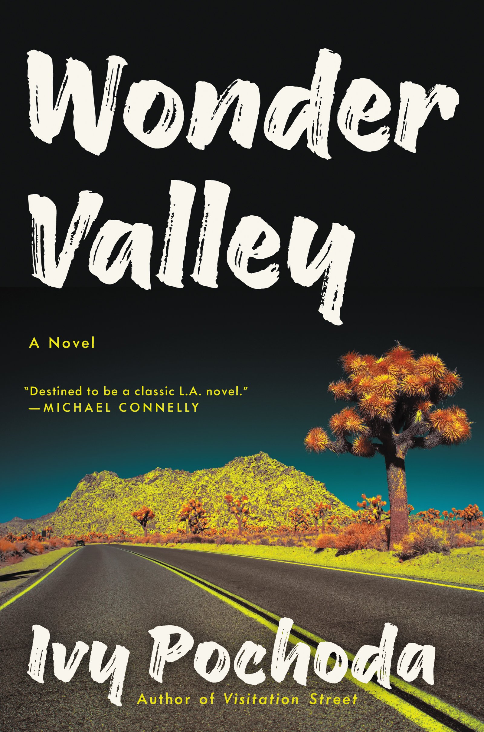 Wonder Valley: A Novel: Pochoda, Ivy: 9780062656353: Amazon.com: Books