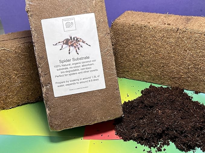 bugznbits Spider Soil, Tarantula Substrate, 8-9 litre Coir Block (Twin ...