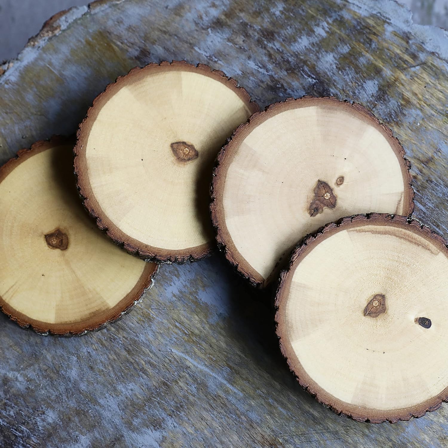 Amazon.com: Natural Tree Wood Coasters with Bark (4-Pack or 6-Pack ...