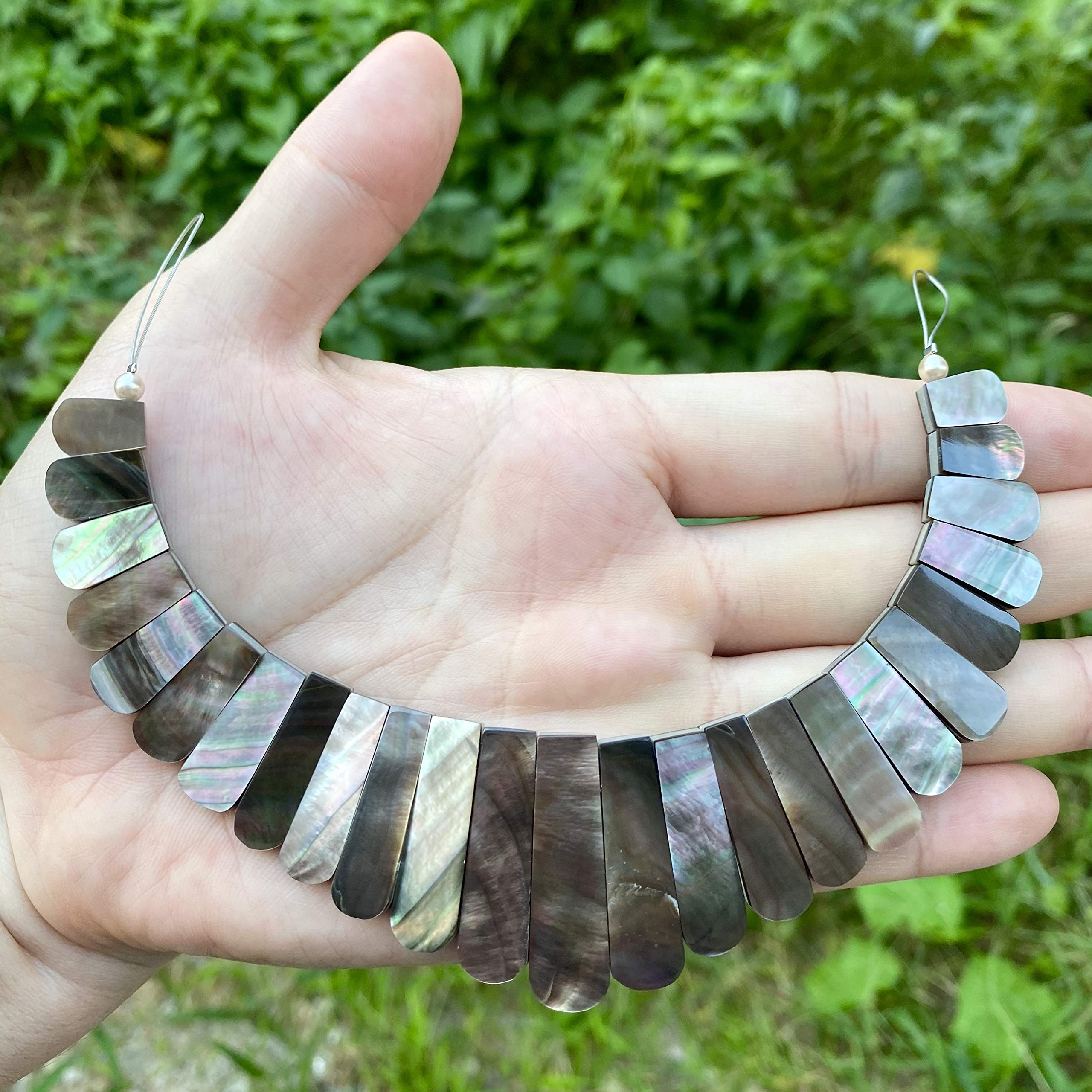 Black Pearl Oyster Shell