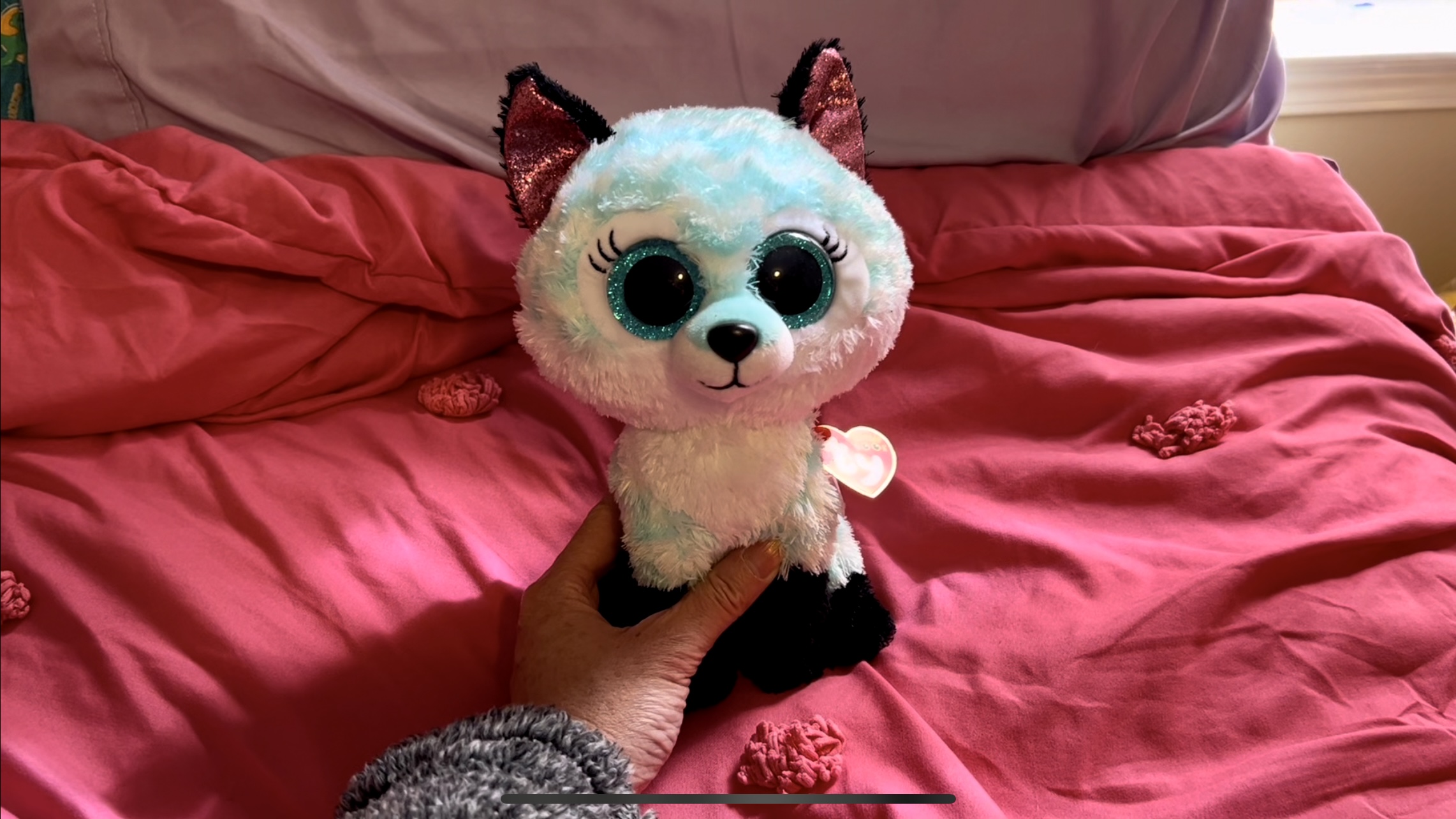 Watch REVIEW Ty Beanie Boo Atlas Fox on Amazon Live