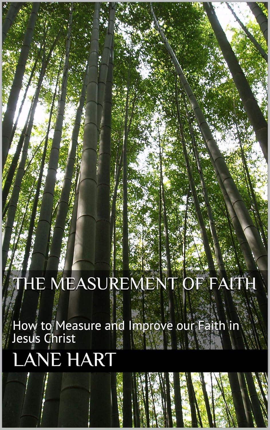 The Measurement of Faith: How to Measure and Improve our Faith in Jesus ...