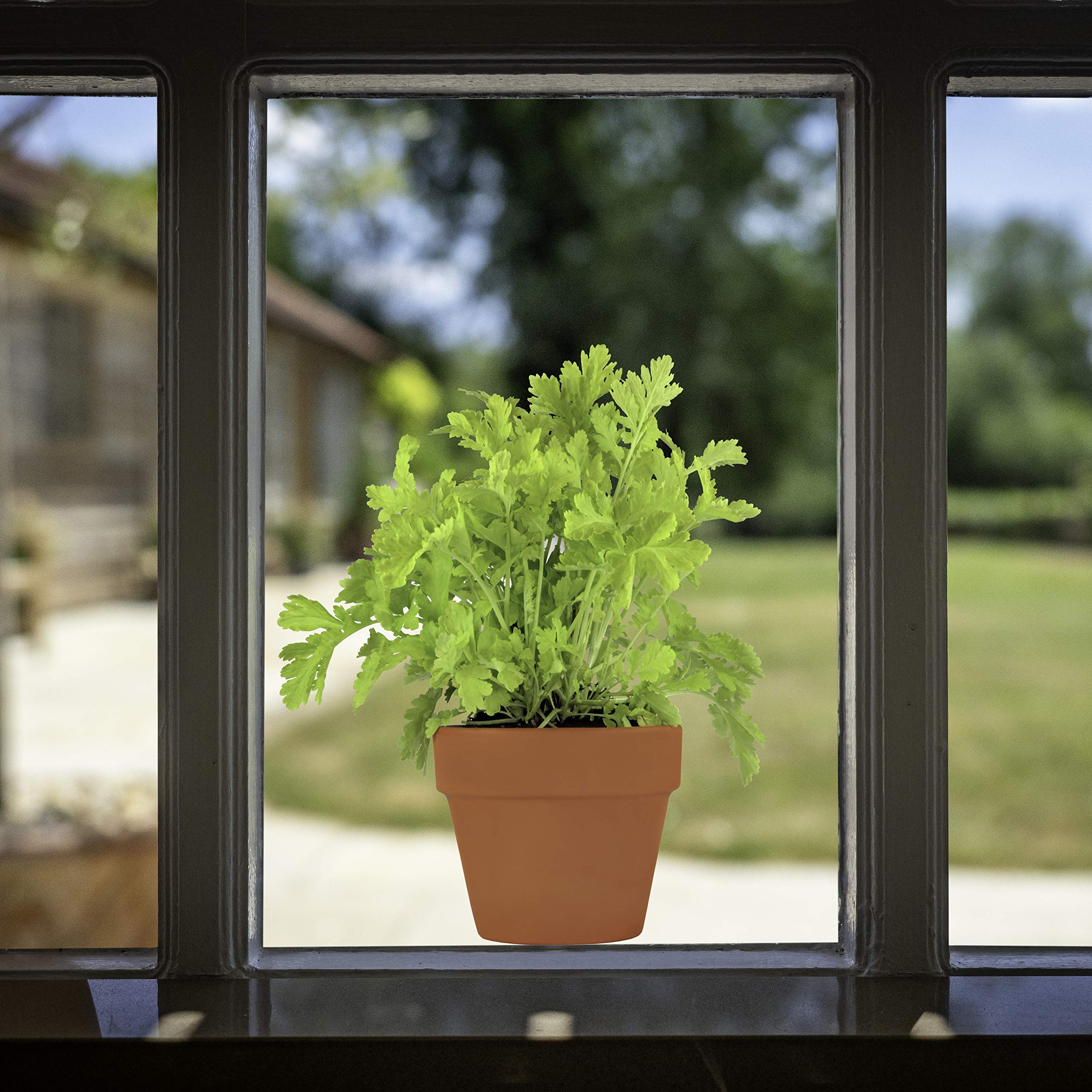 Plant Window Clings Flower Pot Window Cling Decals | Plant Window