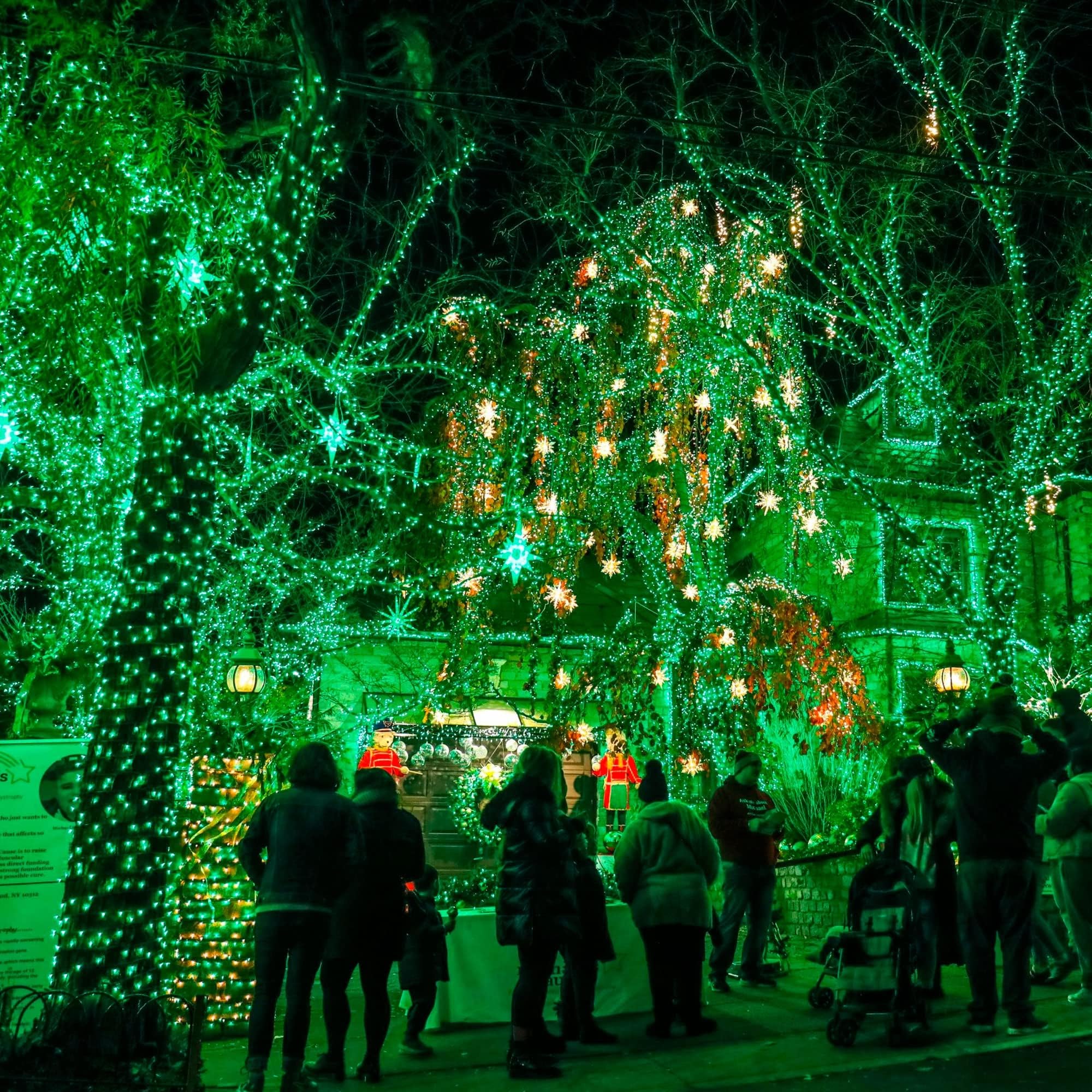 Luces Navideñas De Palos Verdes
