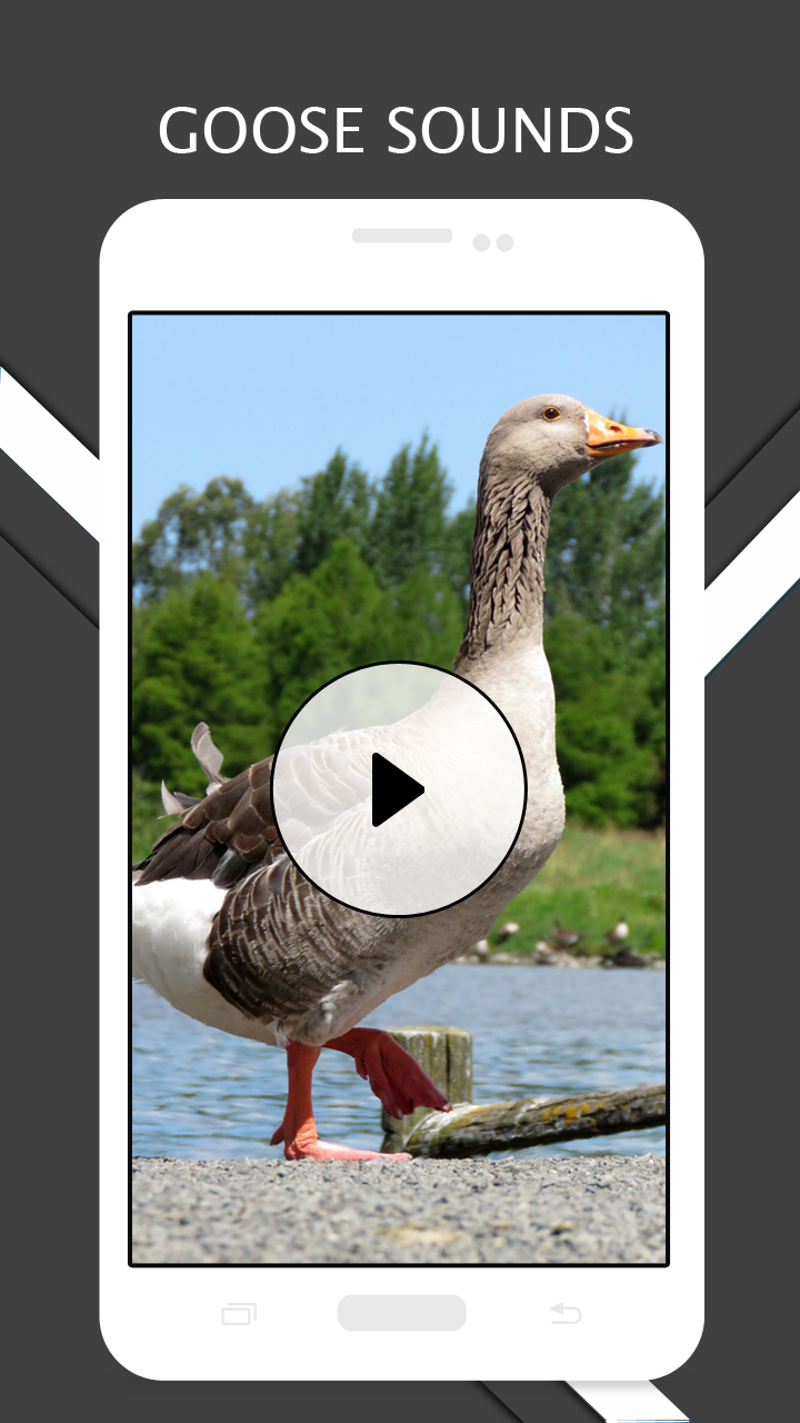 Goose Sounds And Ringtones - App on Amazon Appstore
