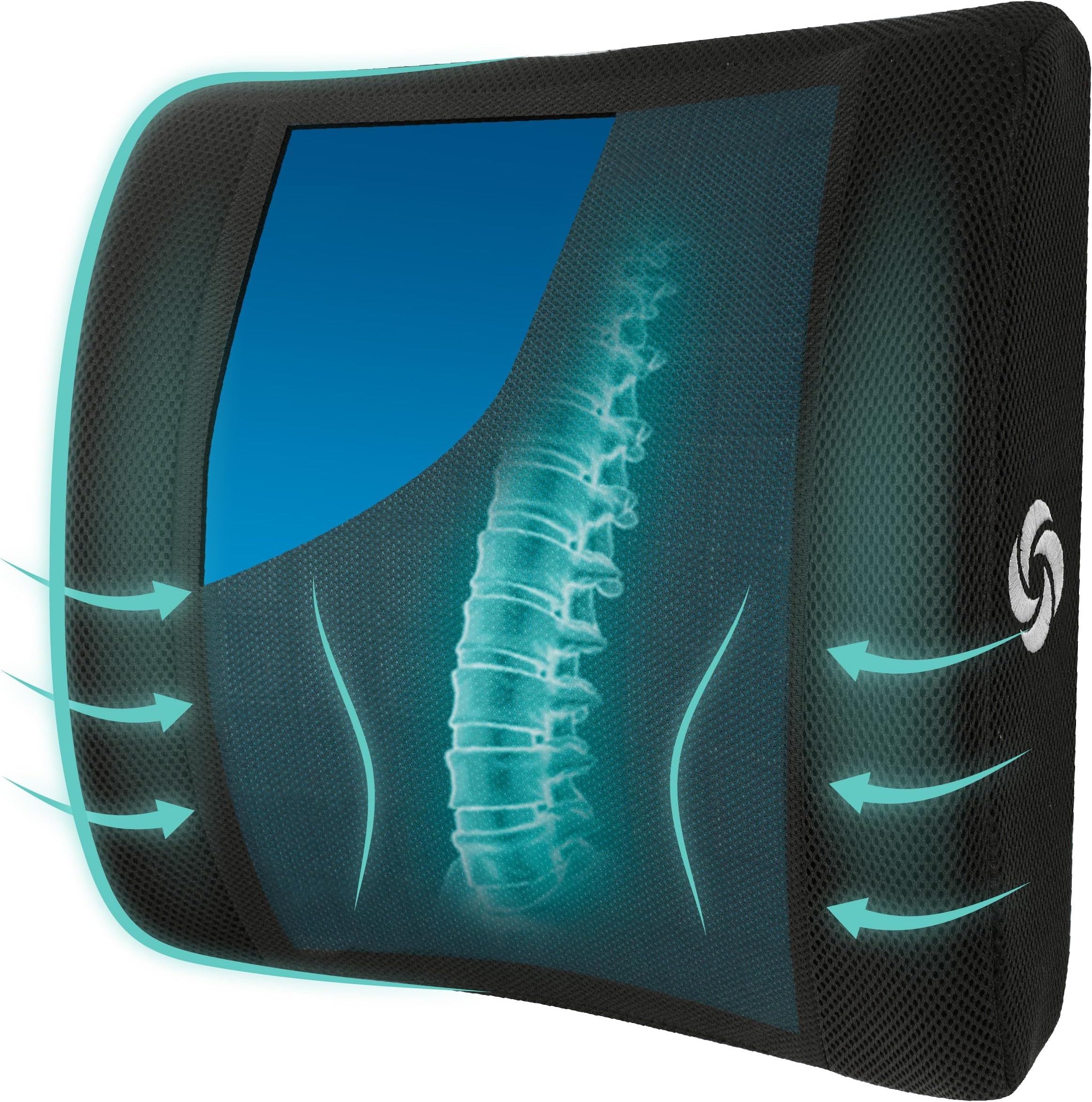 Samsonite SA6041 - Soft Plush Lumbar Support Pillow - Helps Relieve ...